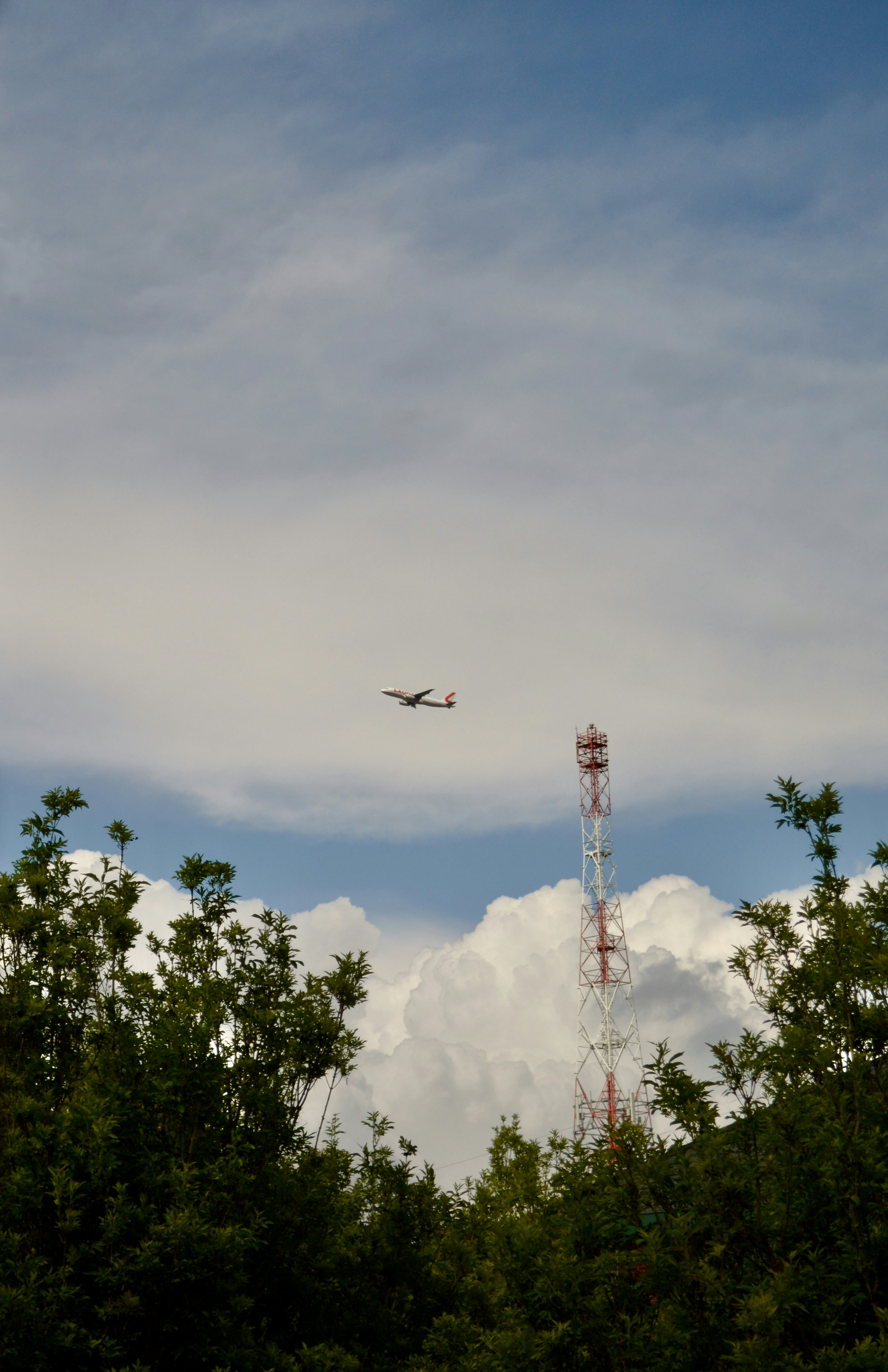 Jetliner Crossing a Sky with Towered Silence