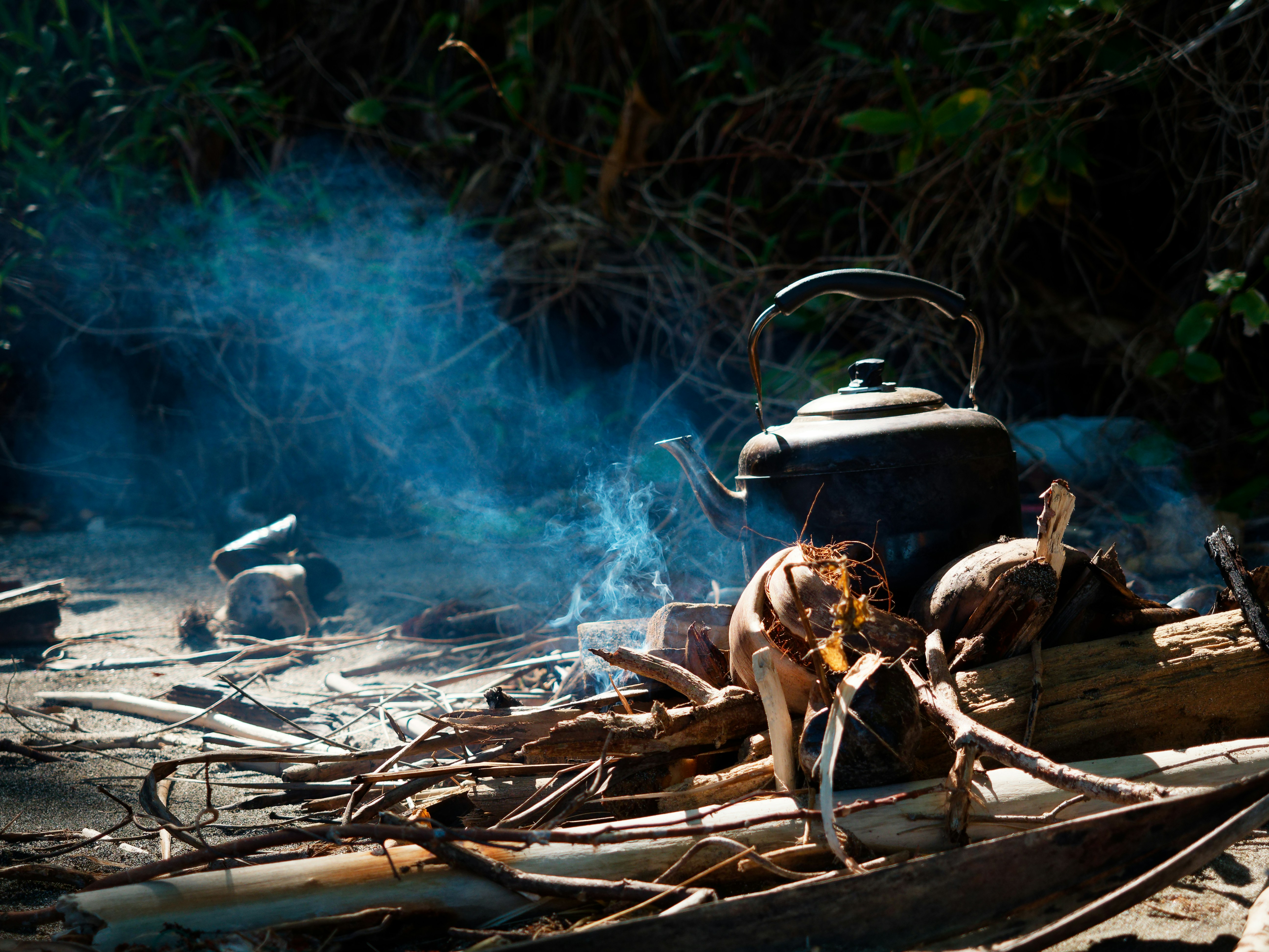 Steam-kissed campfire with a weathered kettle amid driftwood