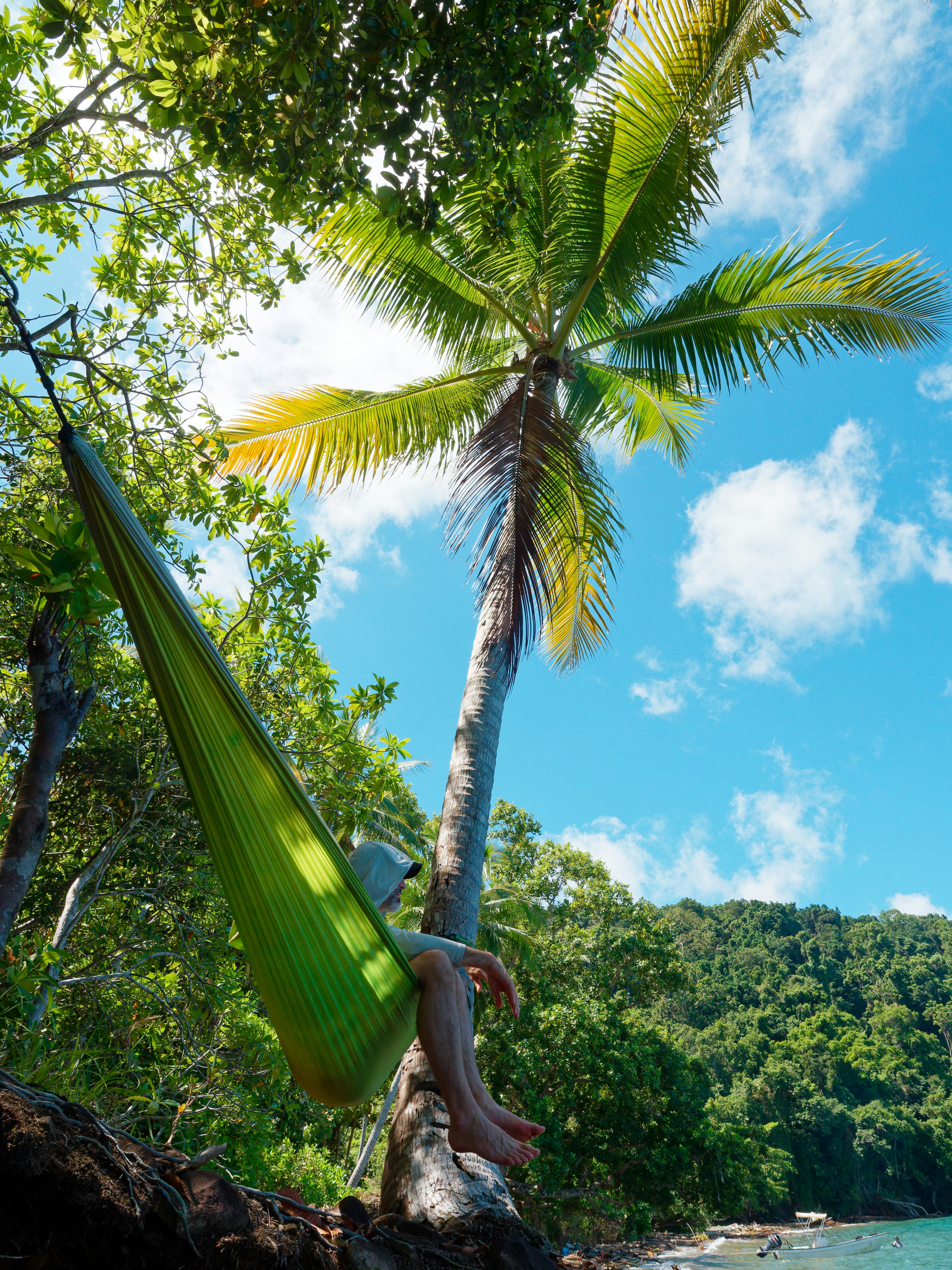 Hammock Beneath a Swaying Tall Palm