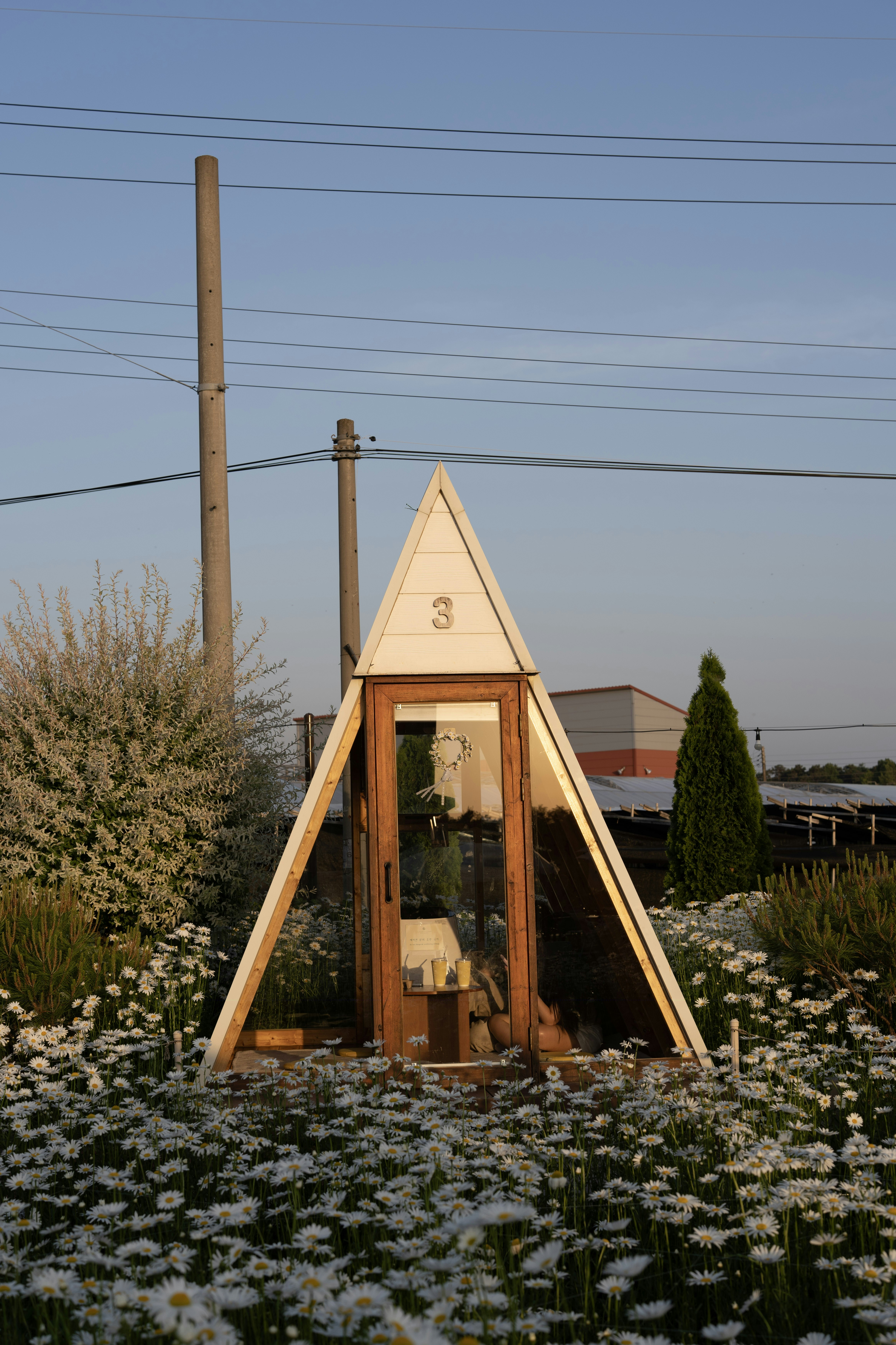 Triangular Glass Sanctuary in a Field of Daisies