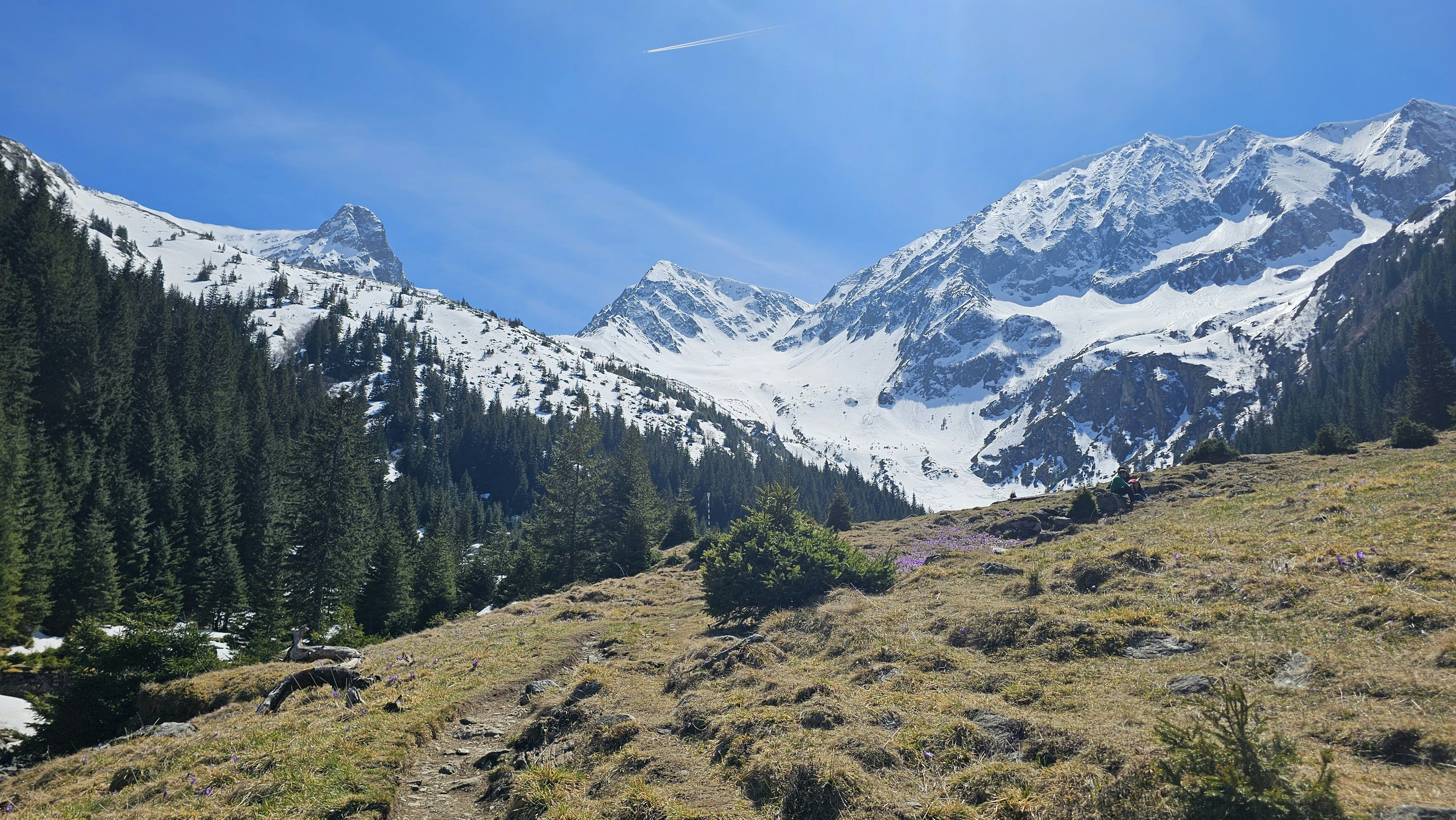 The spectacular spring landscape of the Sâmbăta Valley in the Fagaras Mountains, Romania.