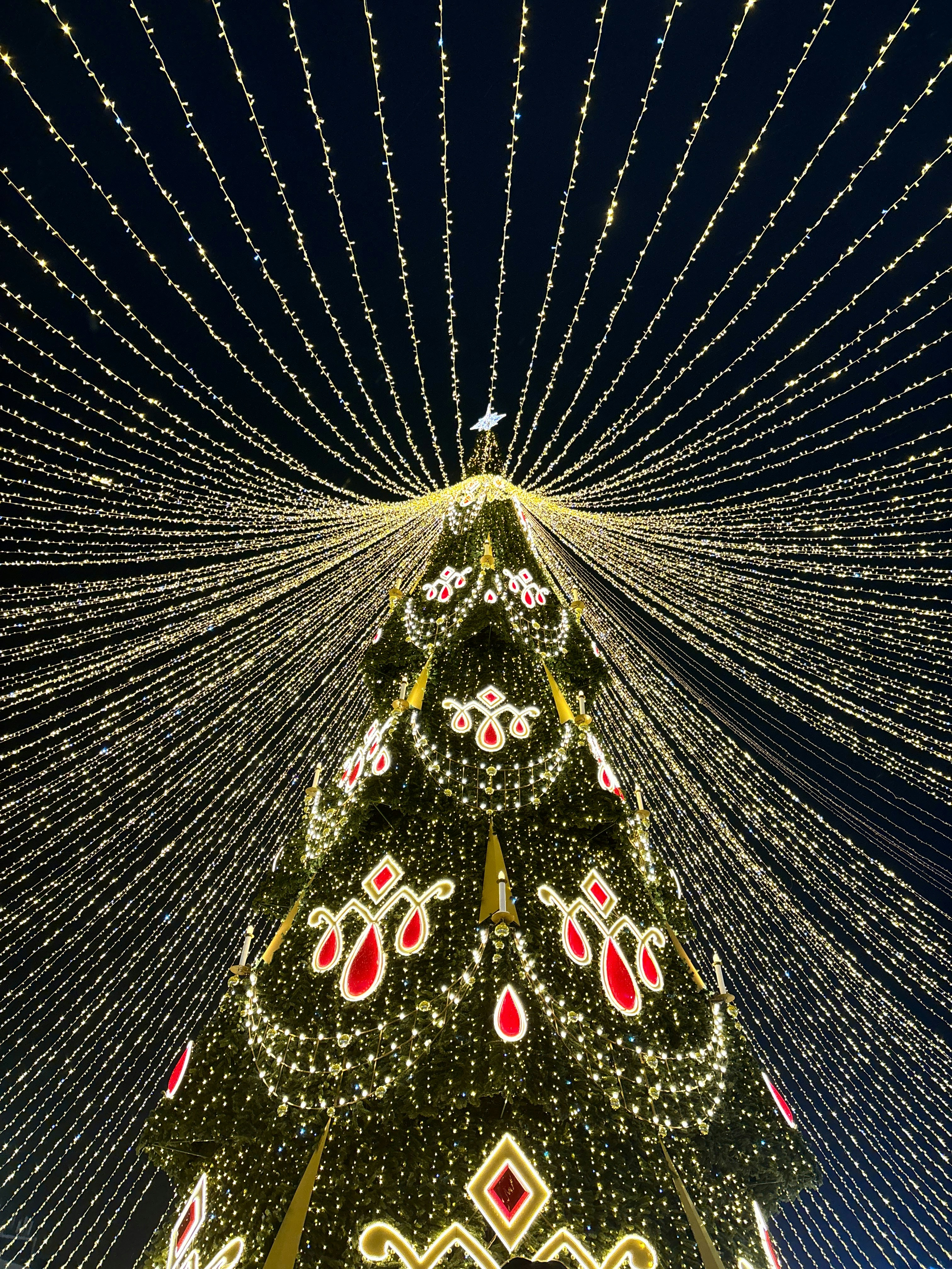 Radiant Christmas Tree Under a Bursting Arc of Lights