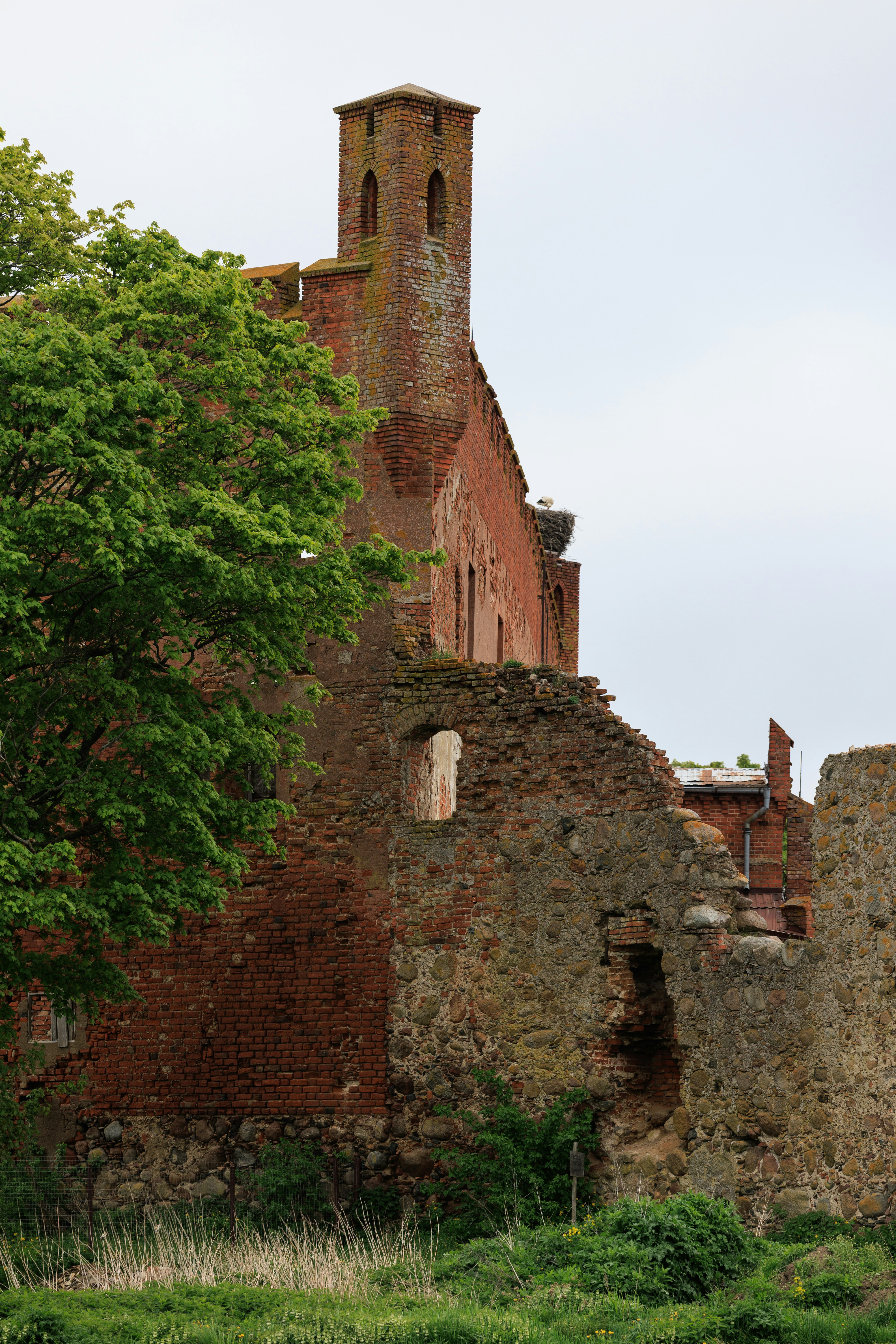 Ruined brickwork and ivy-clad tower amid weathered fortress walls