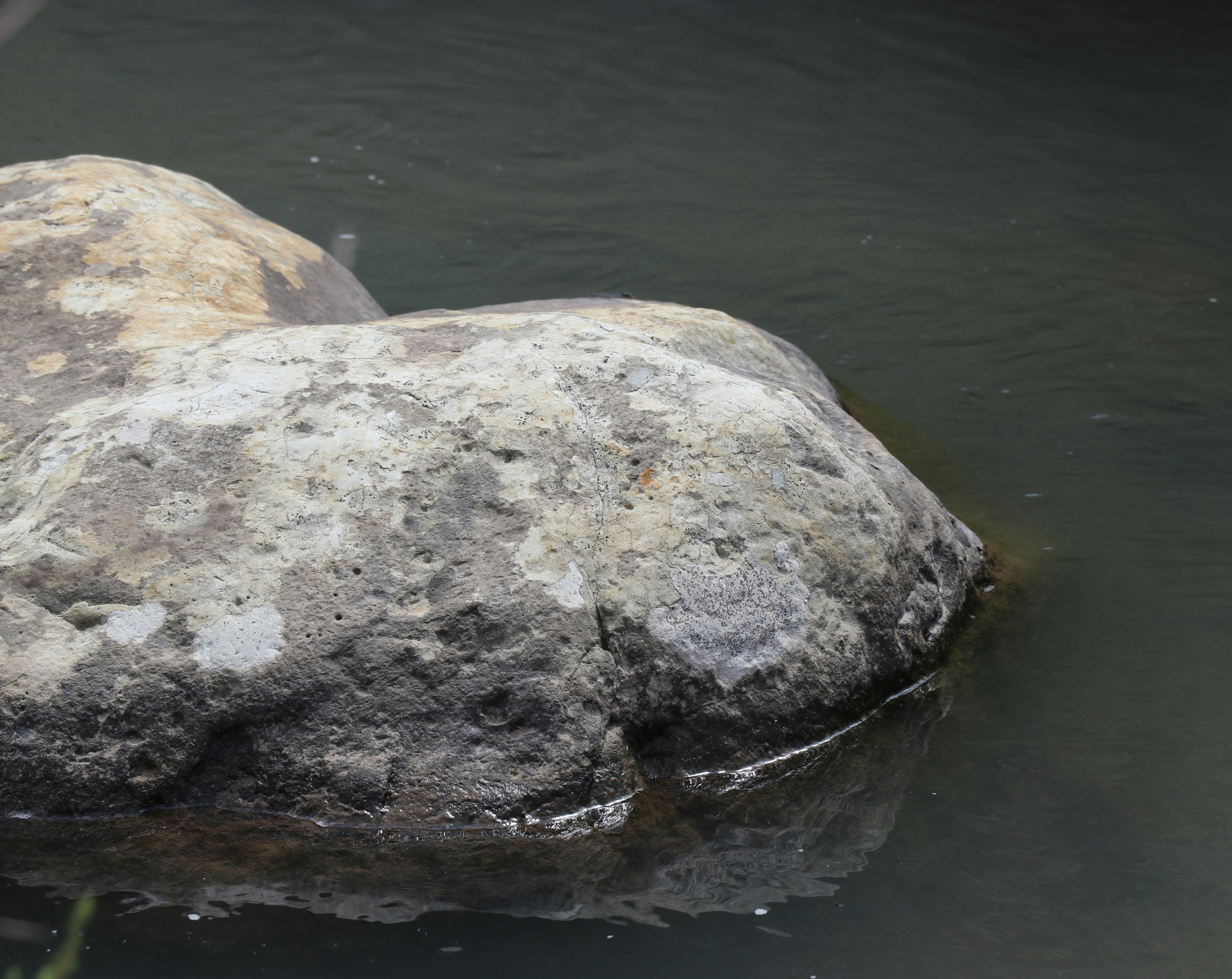 Limestone Sentinel: Quiet Rocks Meet Gentle Currents