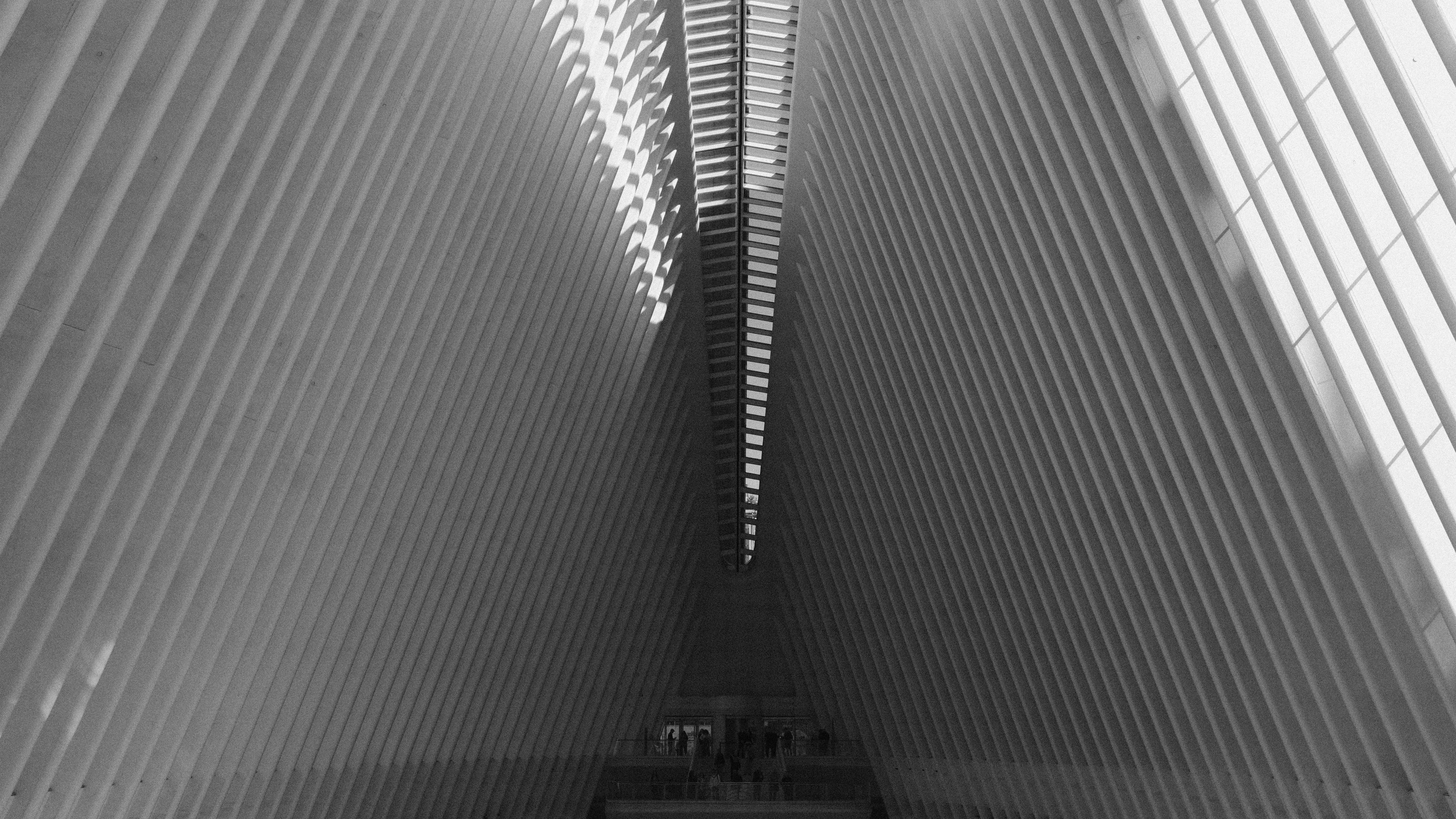 Symmetry in Steel: A Cathedral-like Atrium