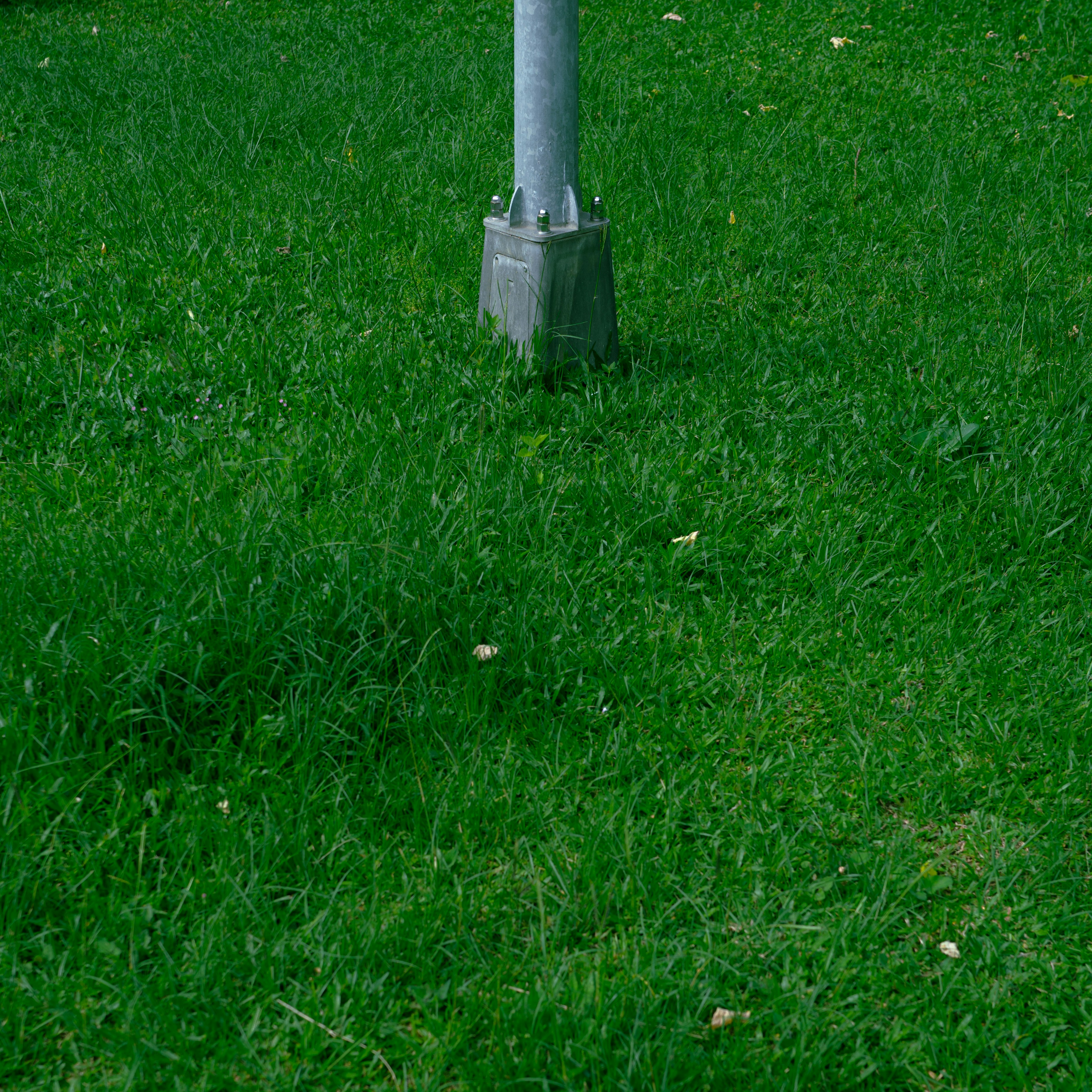 Echoes of Steel in a Quiet Lawn