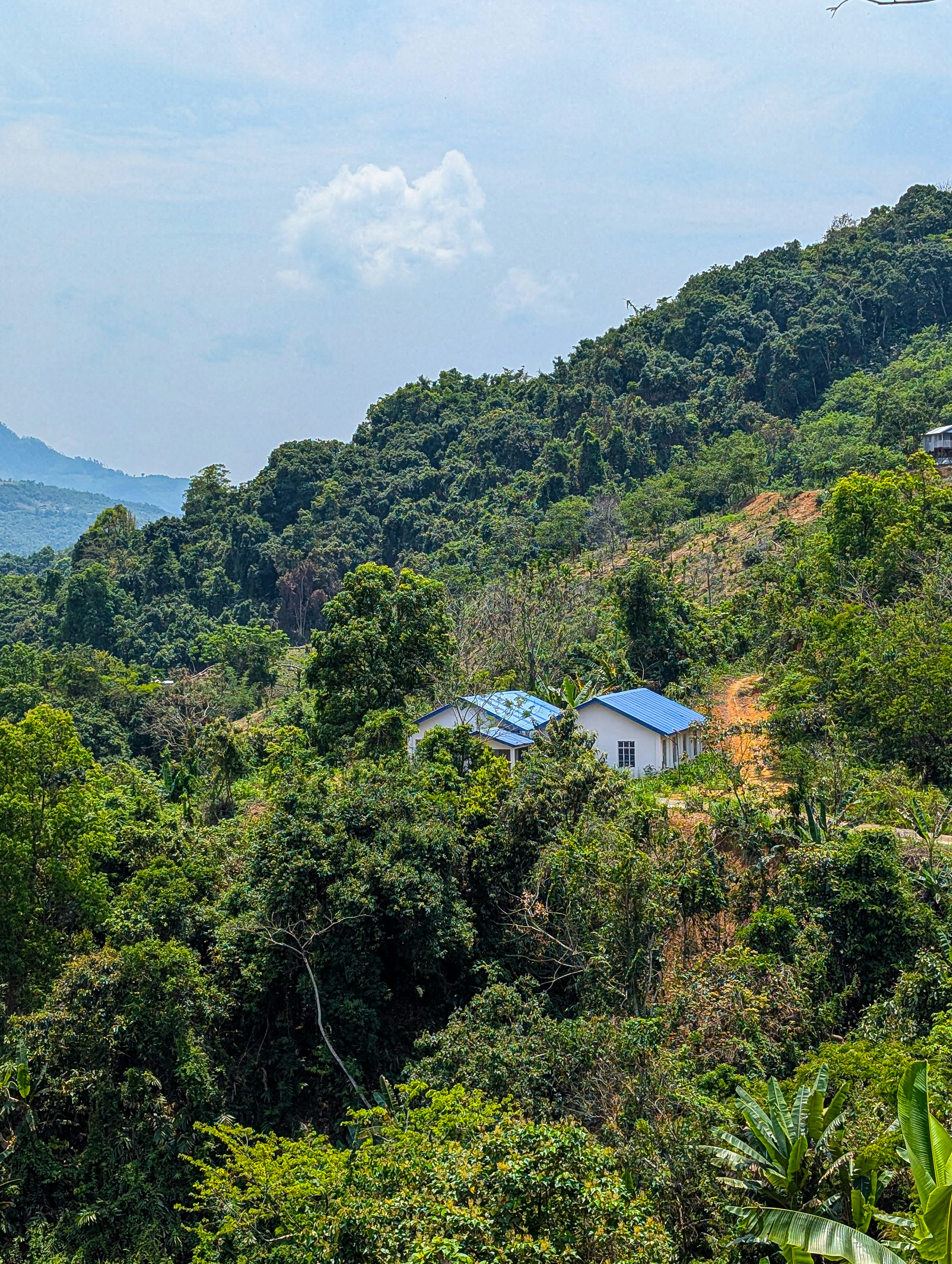 Hidden hillside cottage peeking through emerald ridges