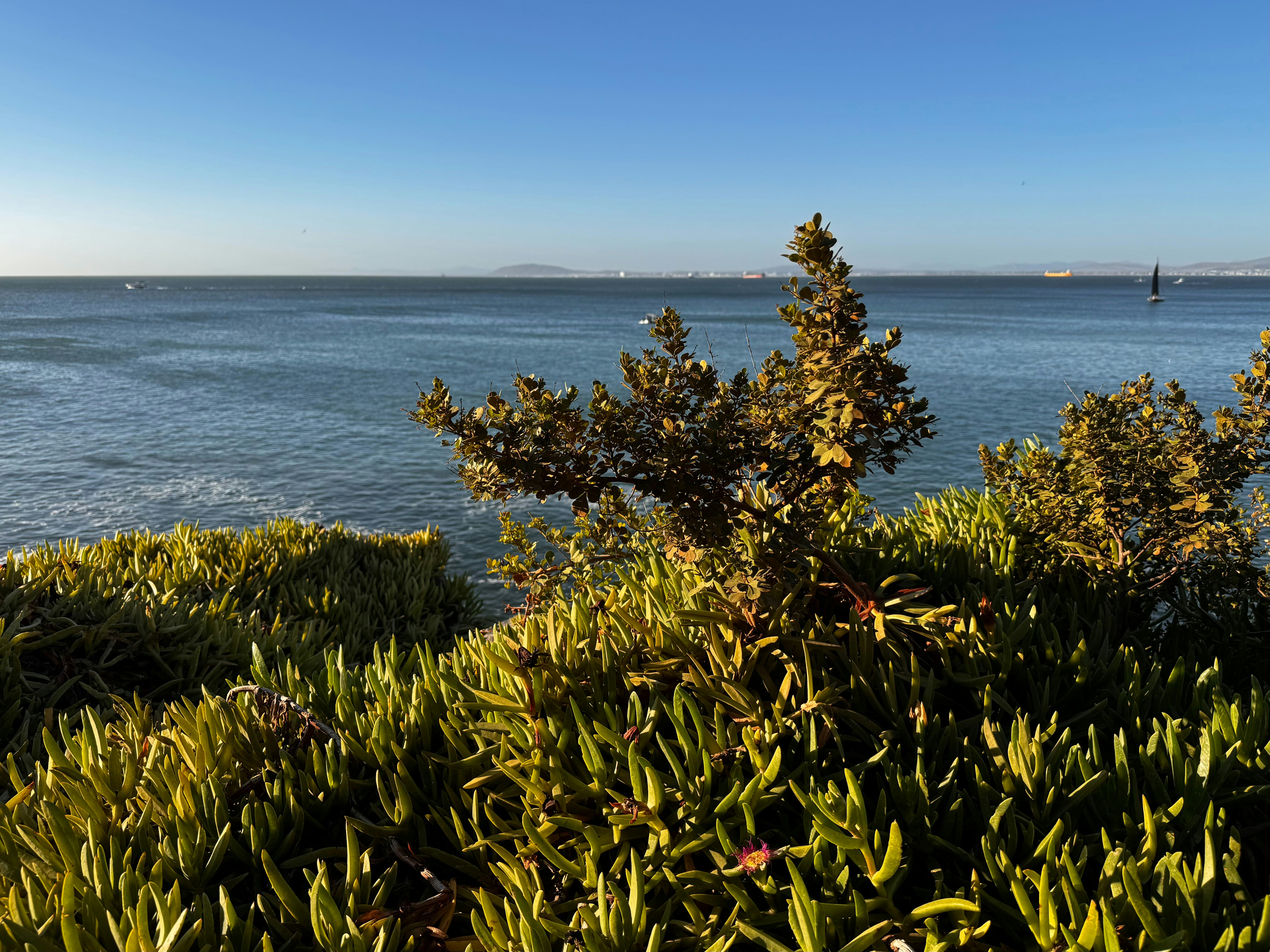 Coastal Verve: Dunes, Sea, and a Clear Horizon