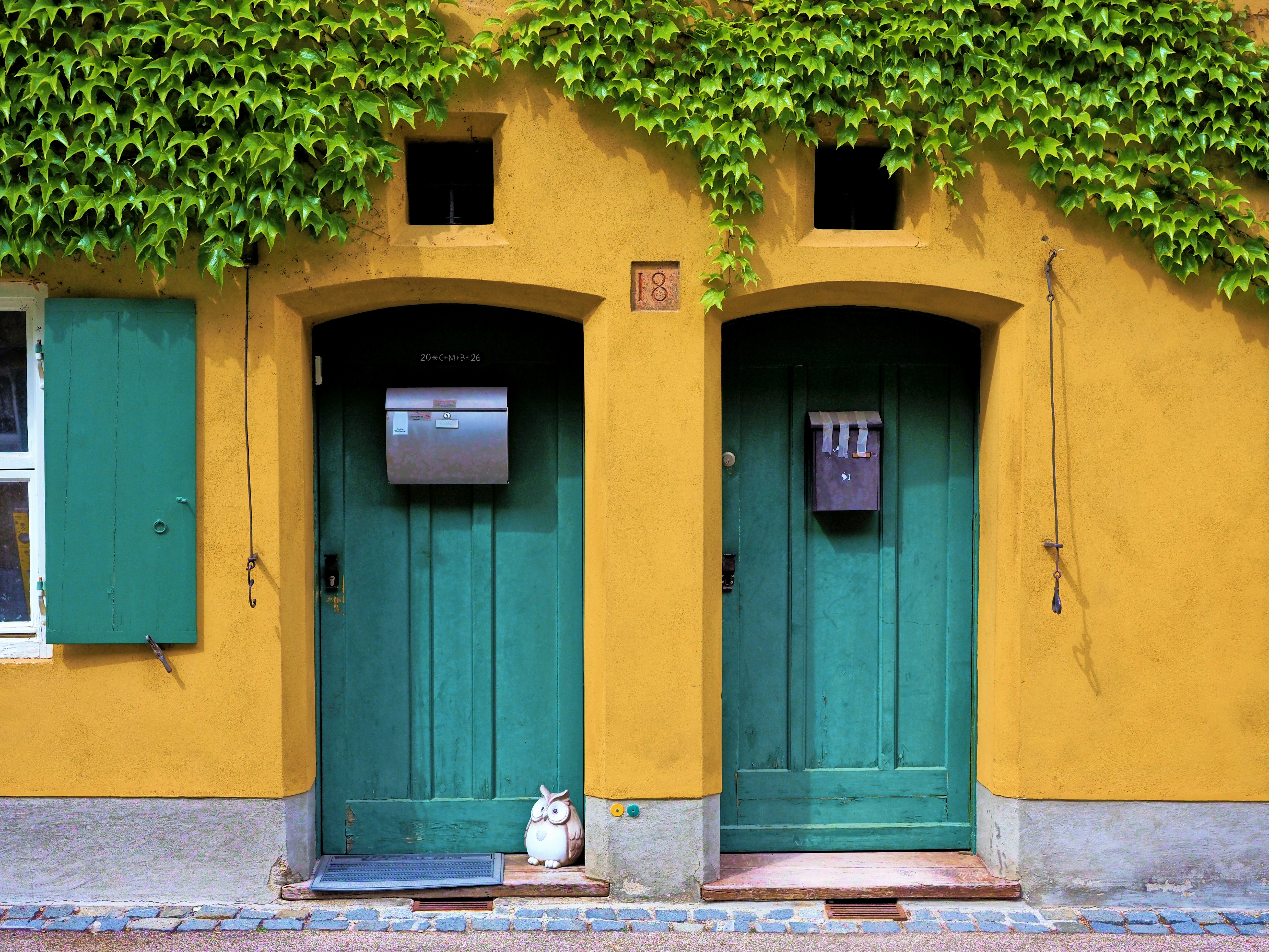 Yellow Facade, Teal Doors, and a Tiny Cat Between the Steps