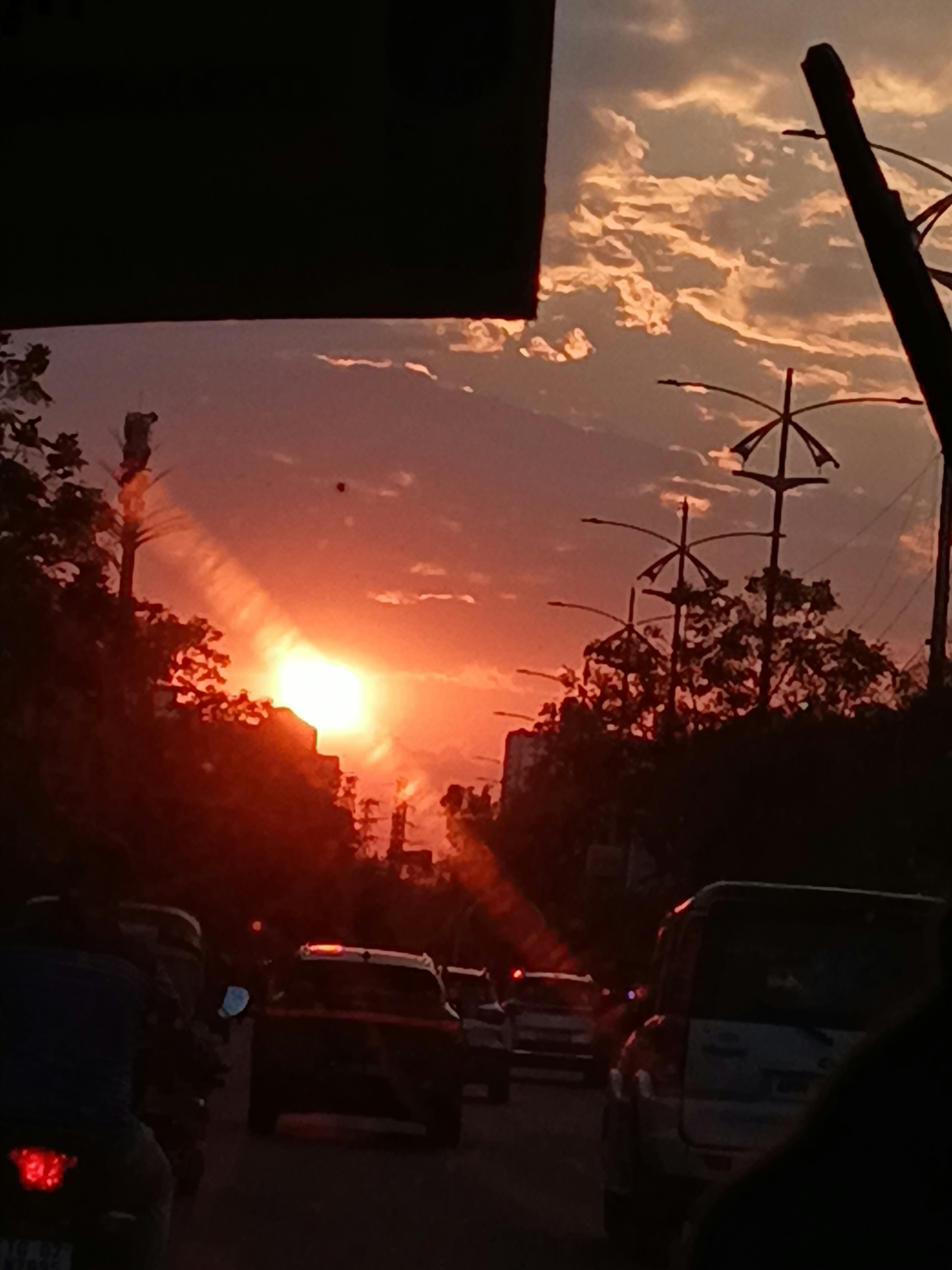 Sunset Over a Bustling Street Between Silhouetted Trees