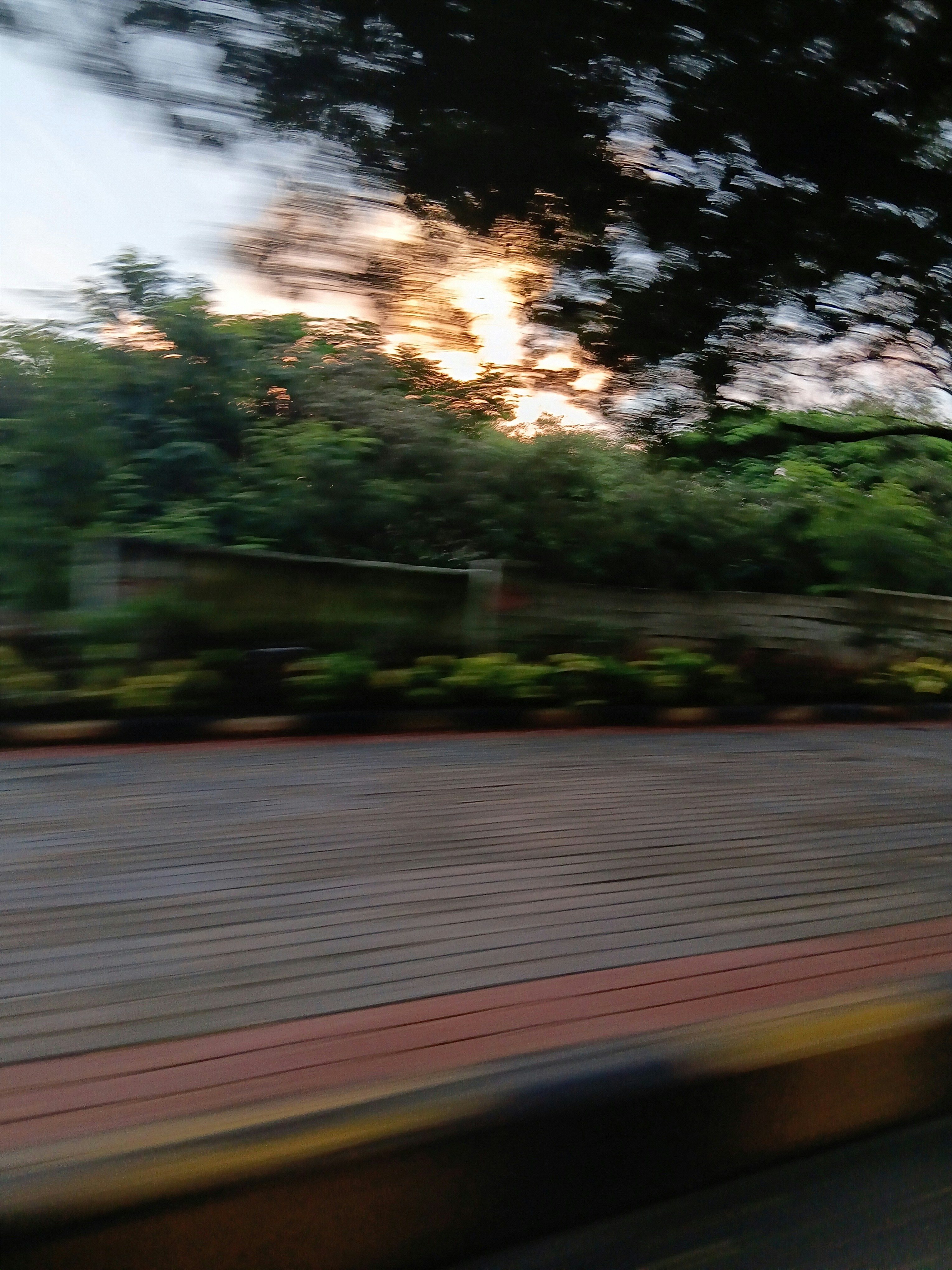 Dusk Run: Blurred Street and Silhouetted Garden