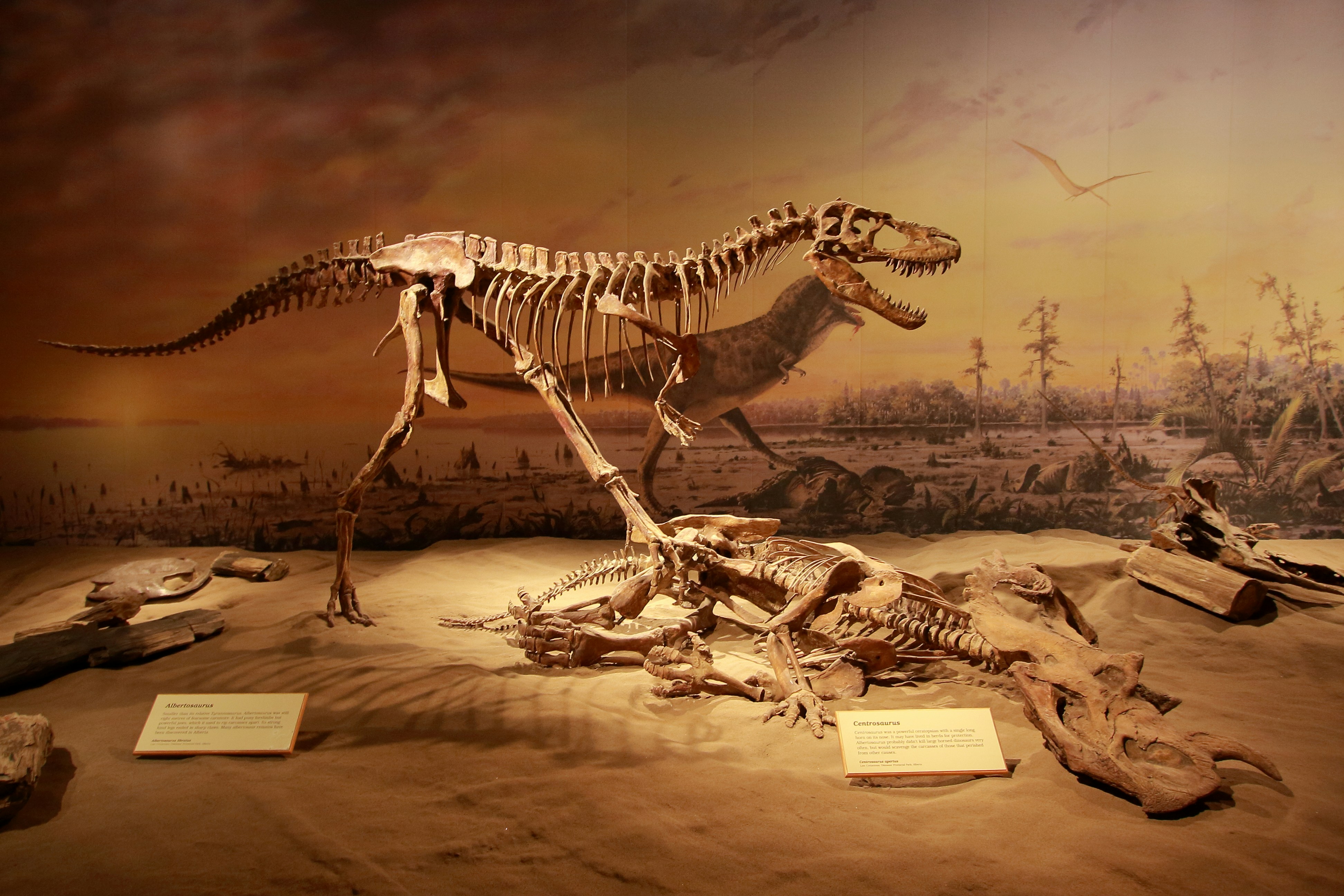 Museum Scene: Fossil Skeletons in a Deserted Dusk Exhibit