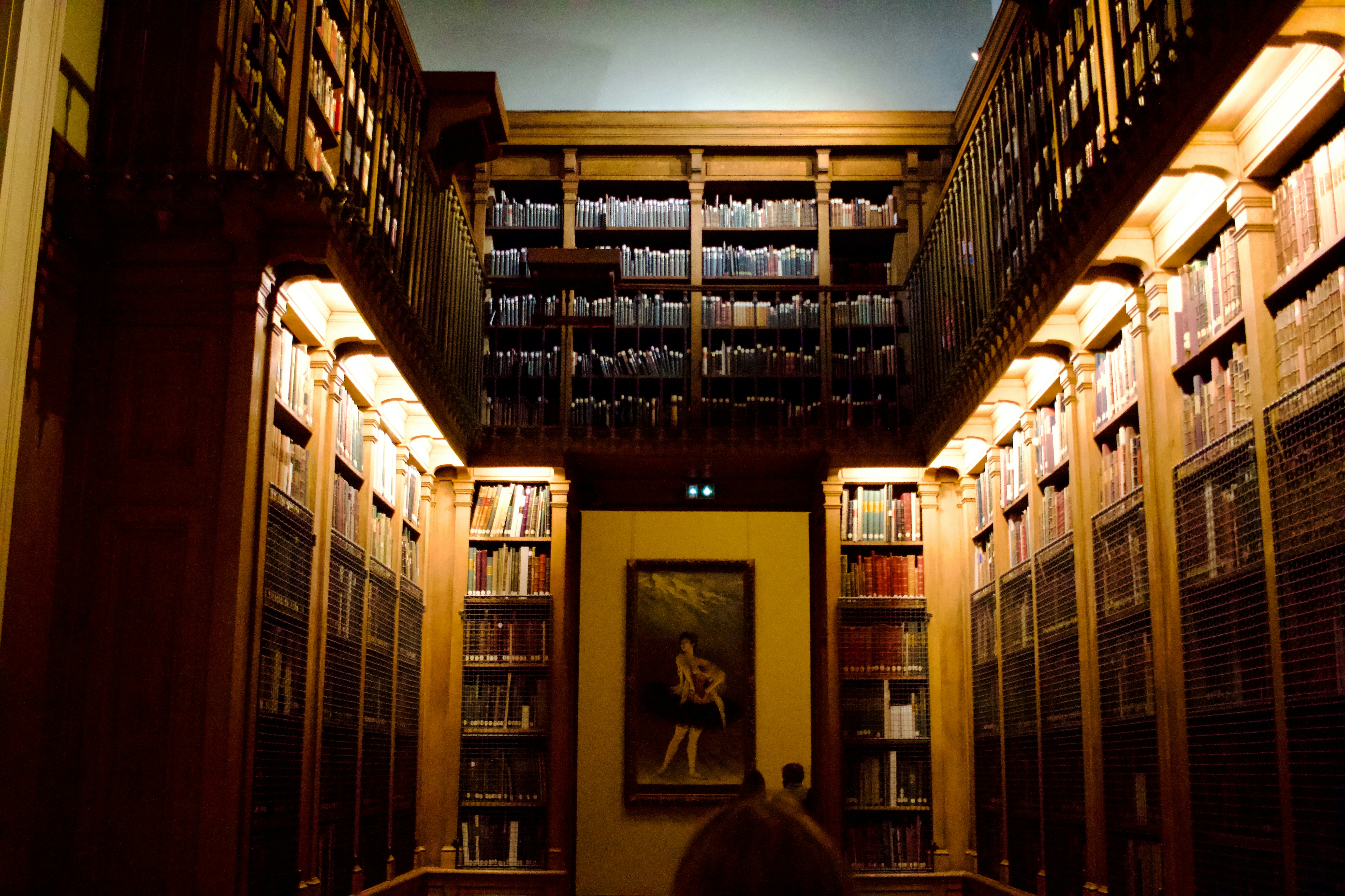 Gilded Aisles: Quiet Reverence in a Grand Library