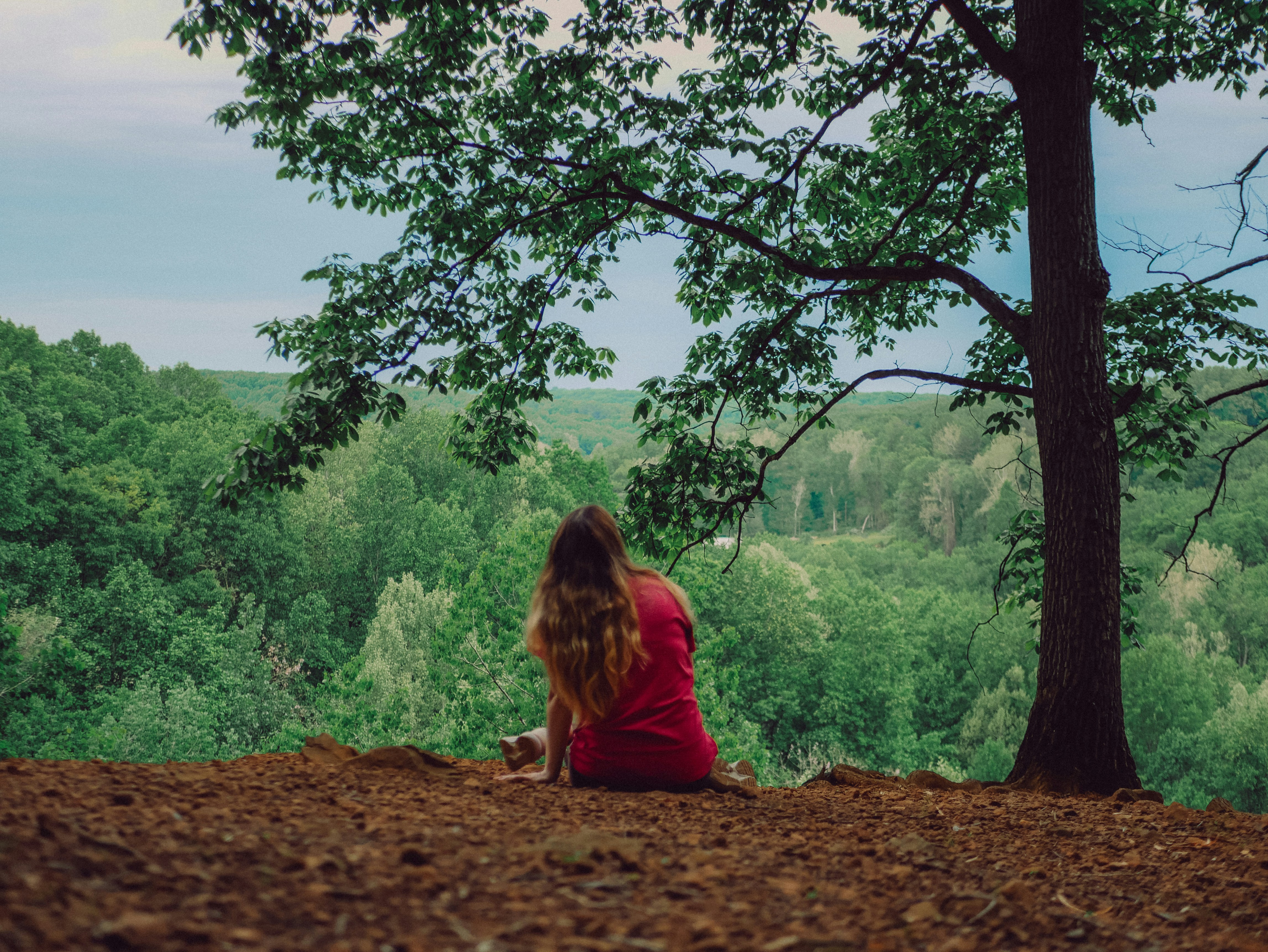Seated Figure Amid Green Expanse: A Quiet Moment Under a Shade of Oaks