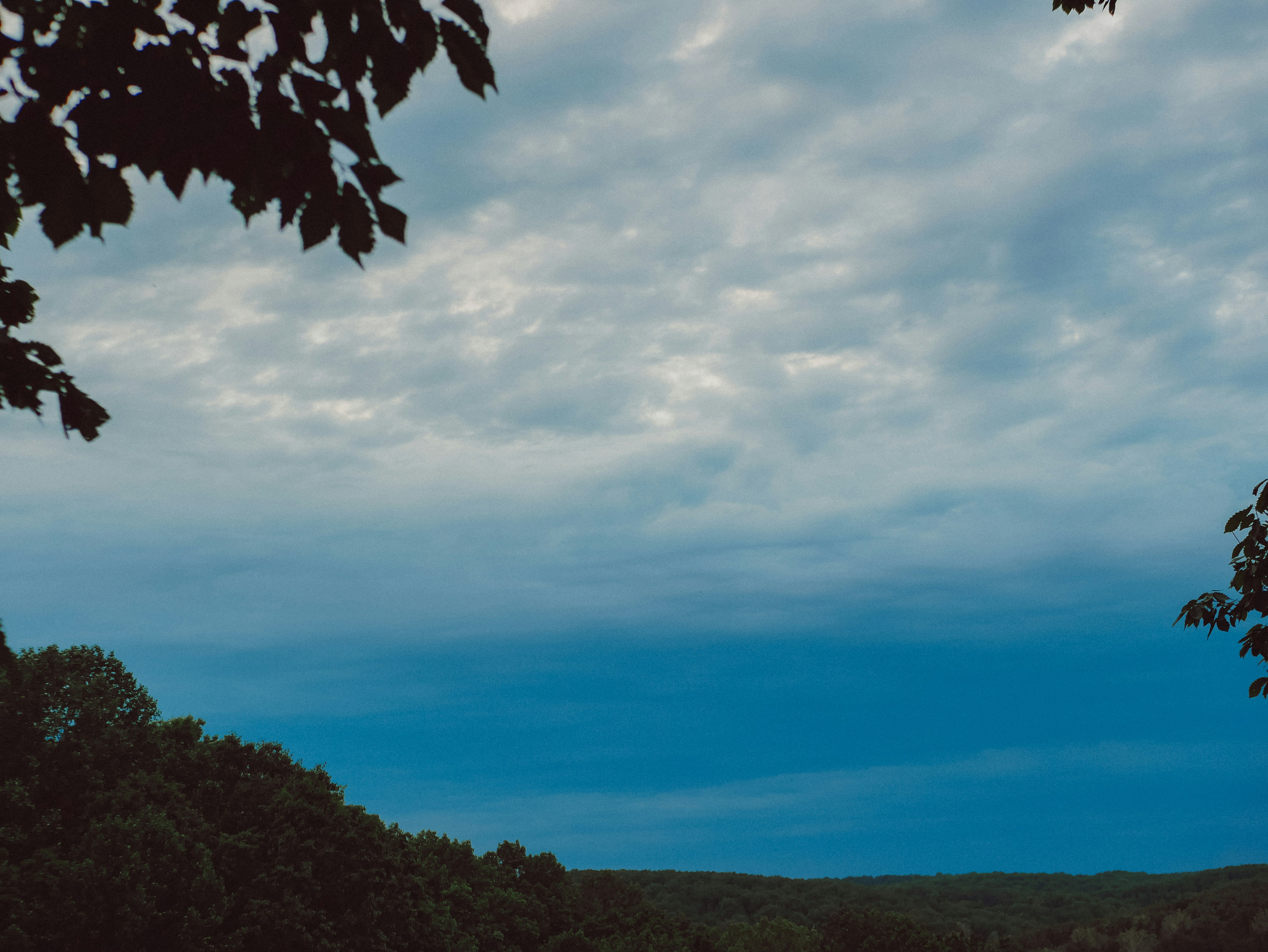 Blue Horizon Fragments: A Quiet Sky Above the Tree-Line