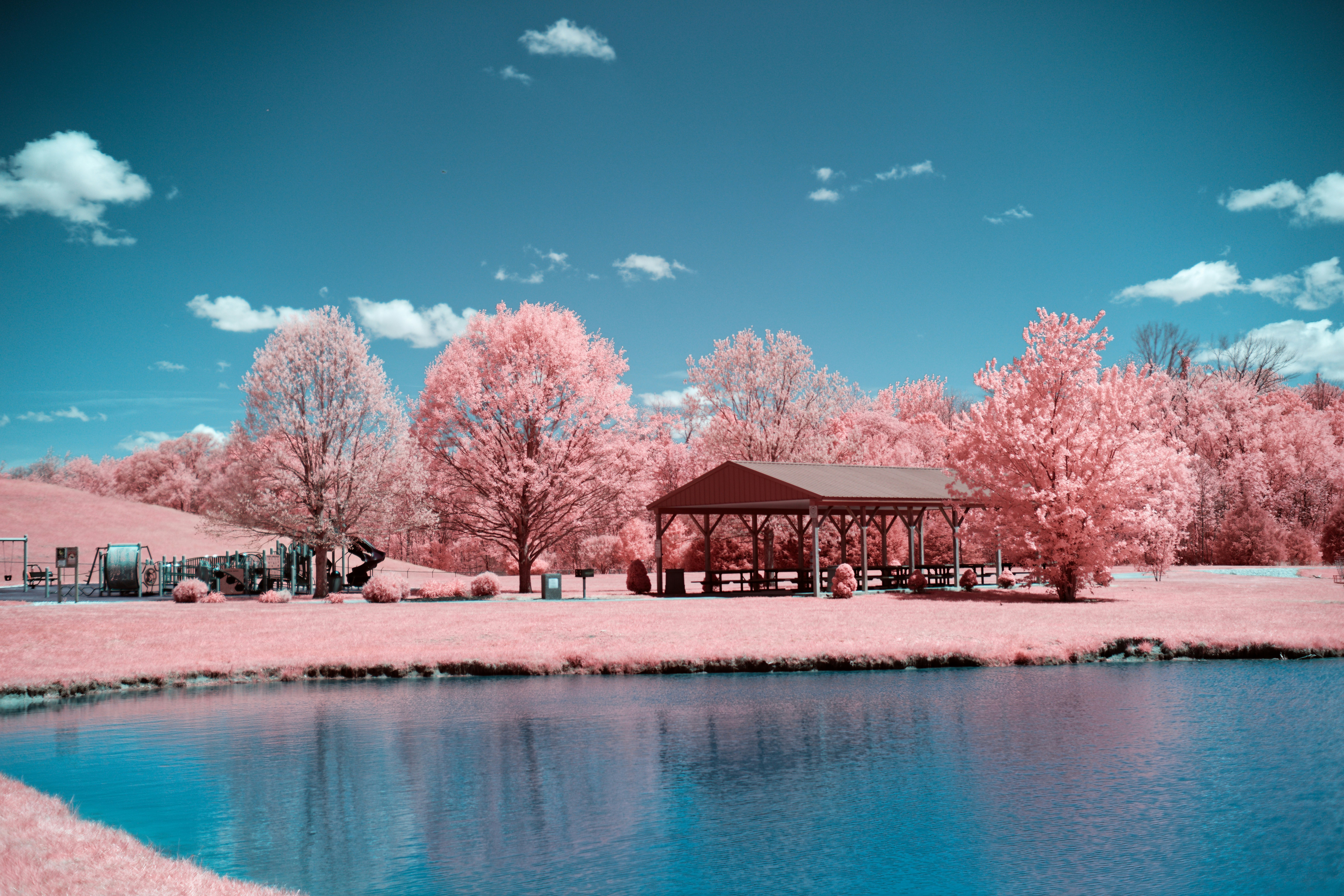 Crimson Park by the Water under a Blue Sky