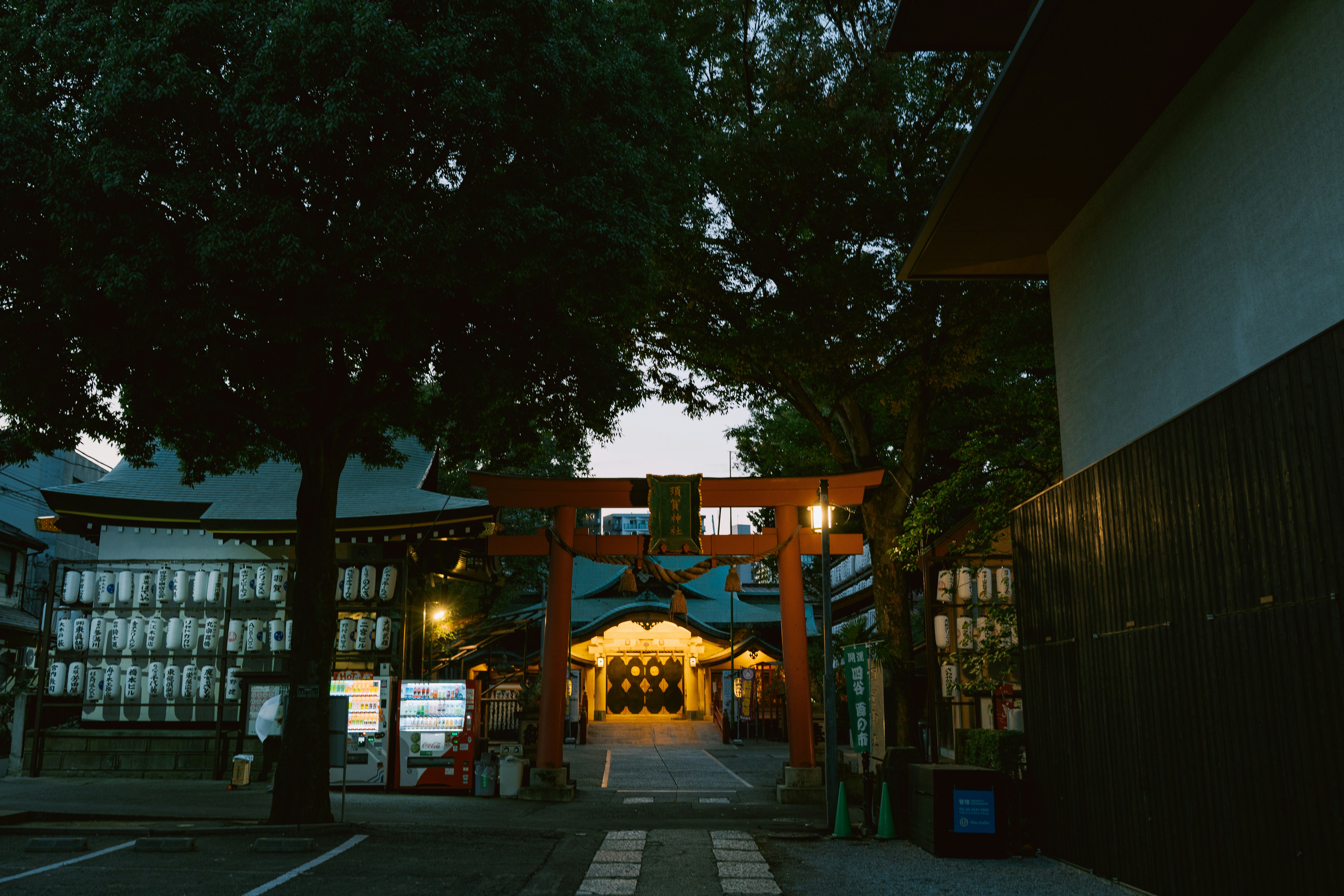 Temple Gate at Dusk: Lanterns Guiding the Path