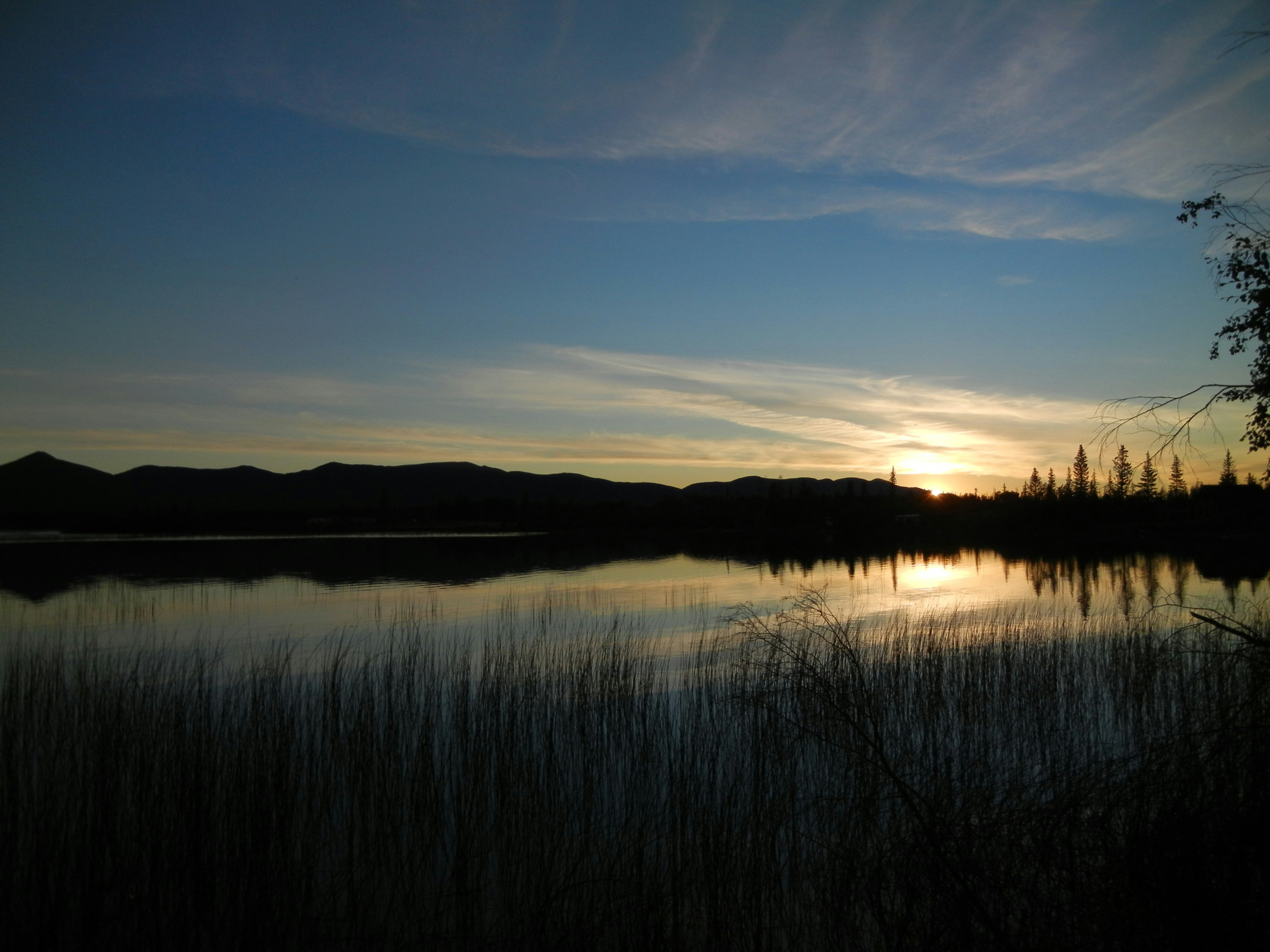 Silhouette at Sundown: A Quiet Lake Beneath a Velvet Sky