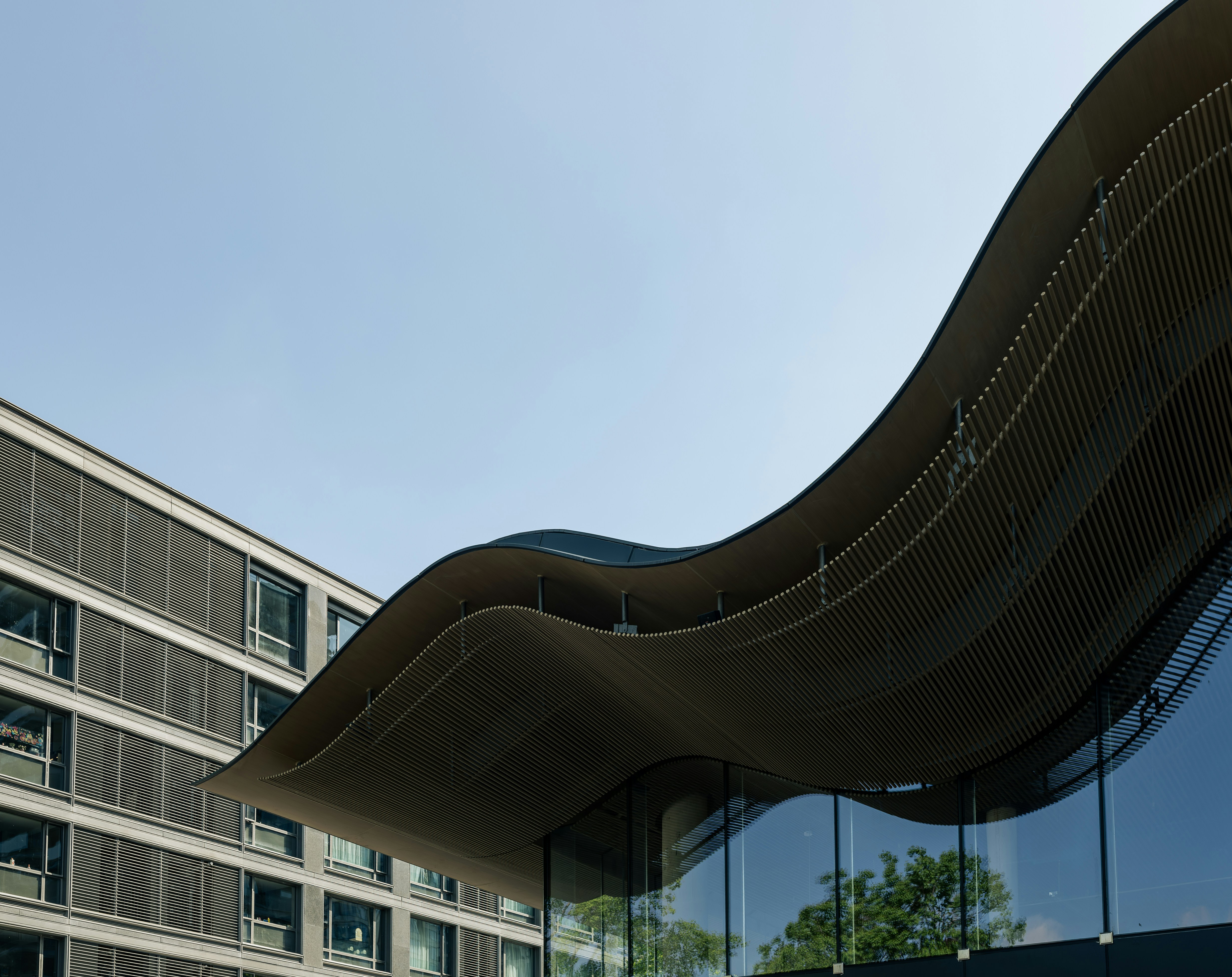 Waves of Architecture: A Curved Canopy Over Glass and Steel