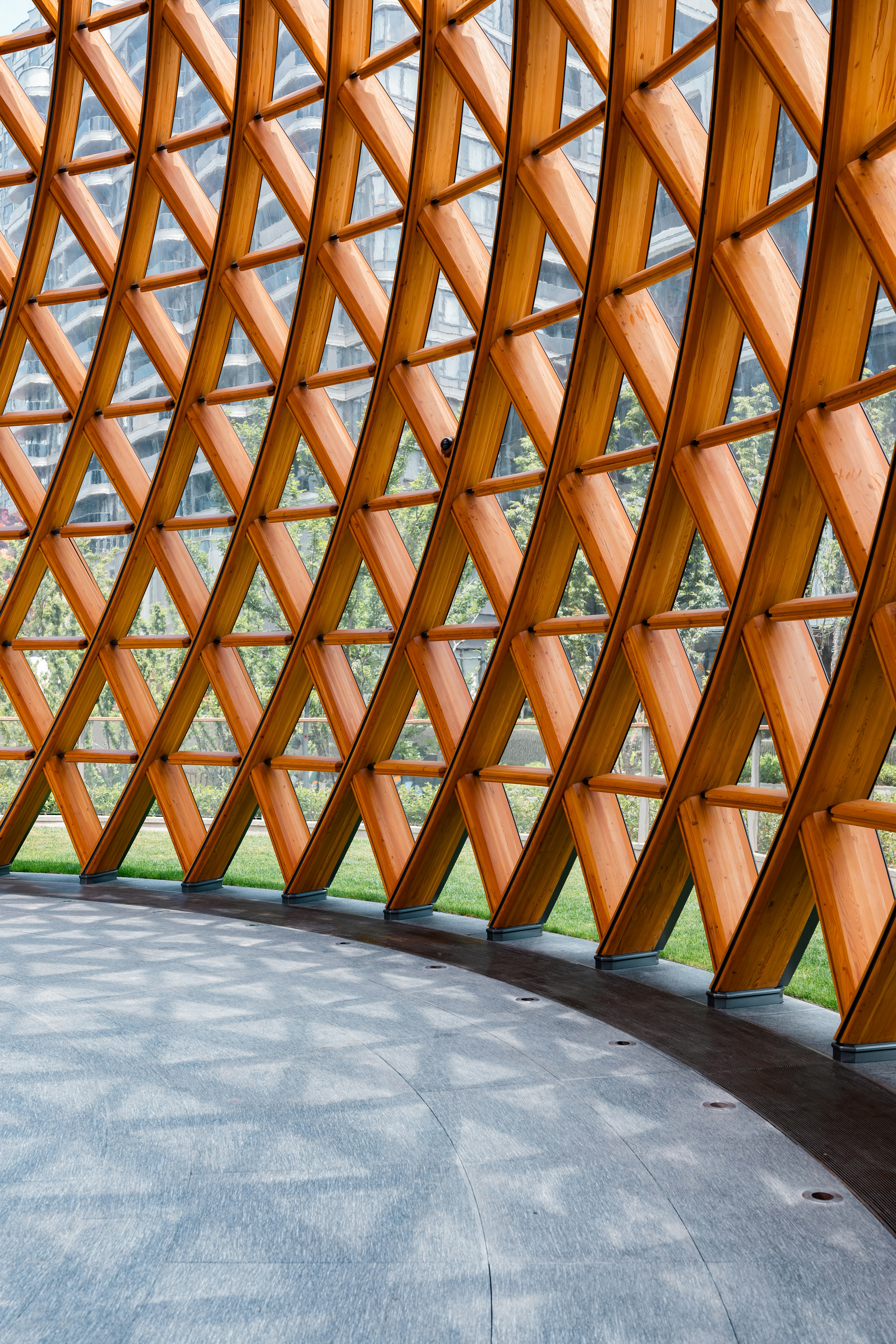 Curved Timber Corridor: A Lattice of Sunlit Arches