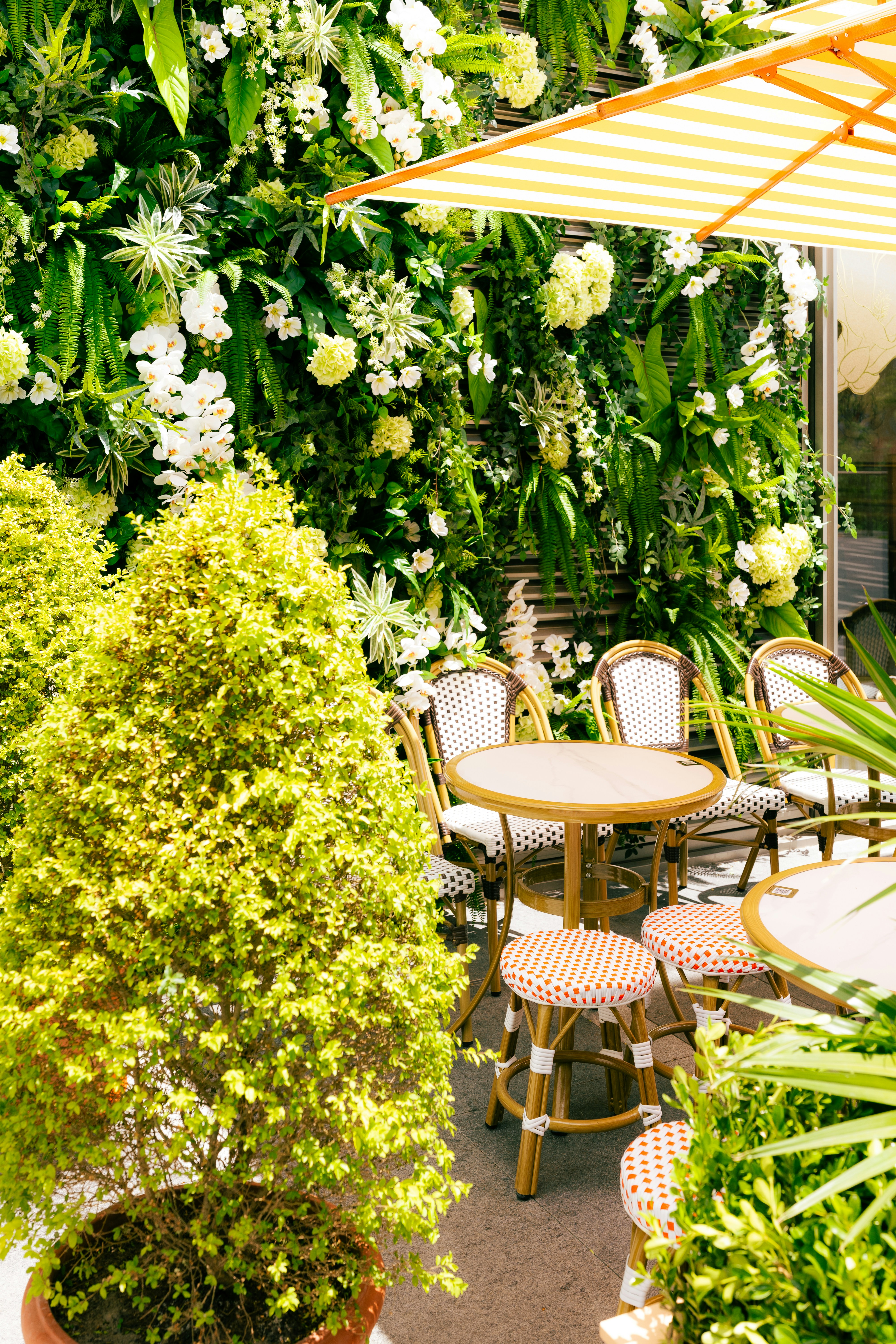 Sunlit Café Oasis Amid Vertical Verdure