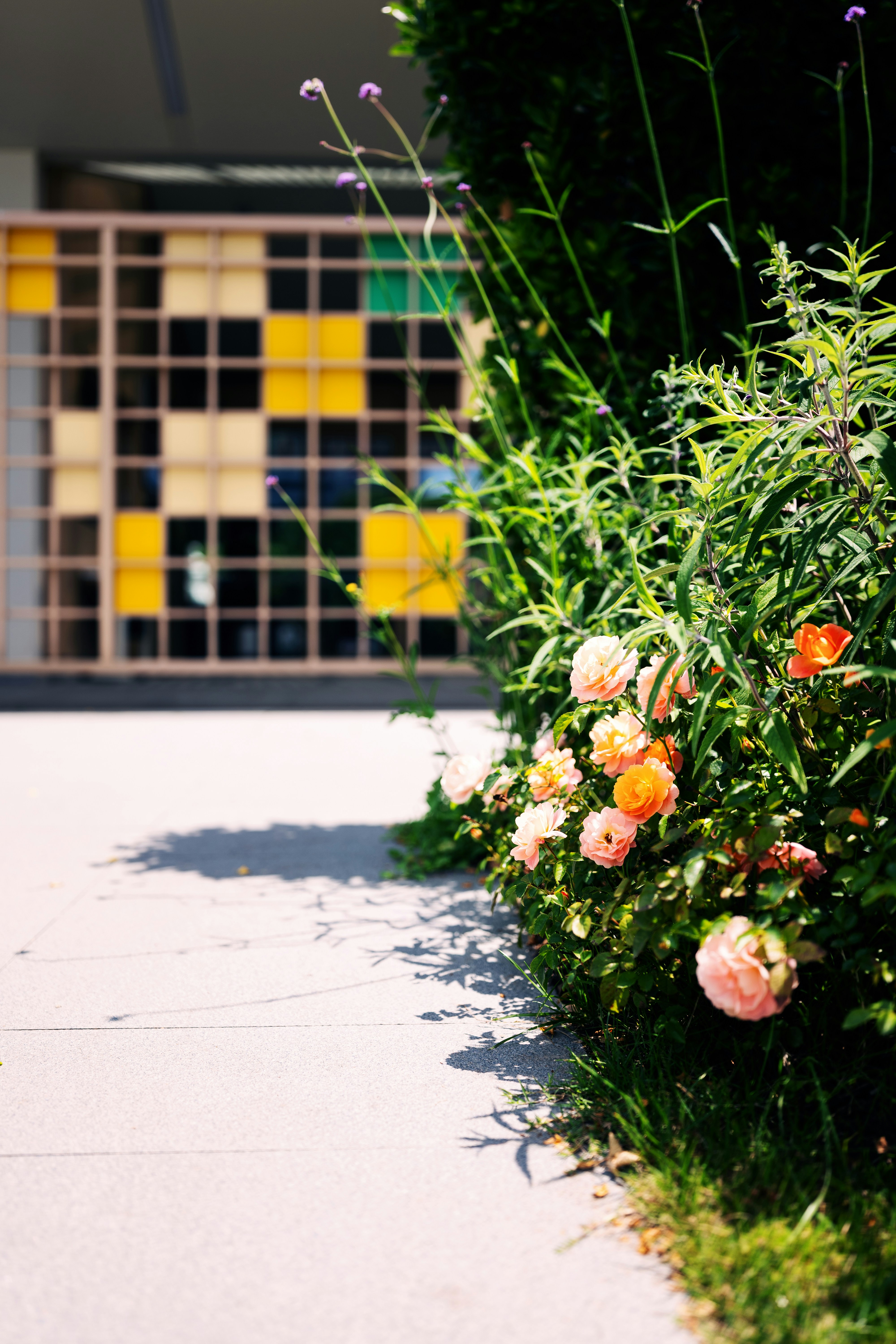 Bouquet by the Patio: Peach Roses and Colorful Mosaic Backdrop