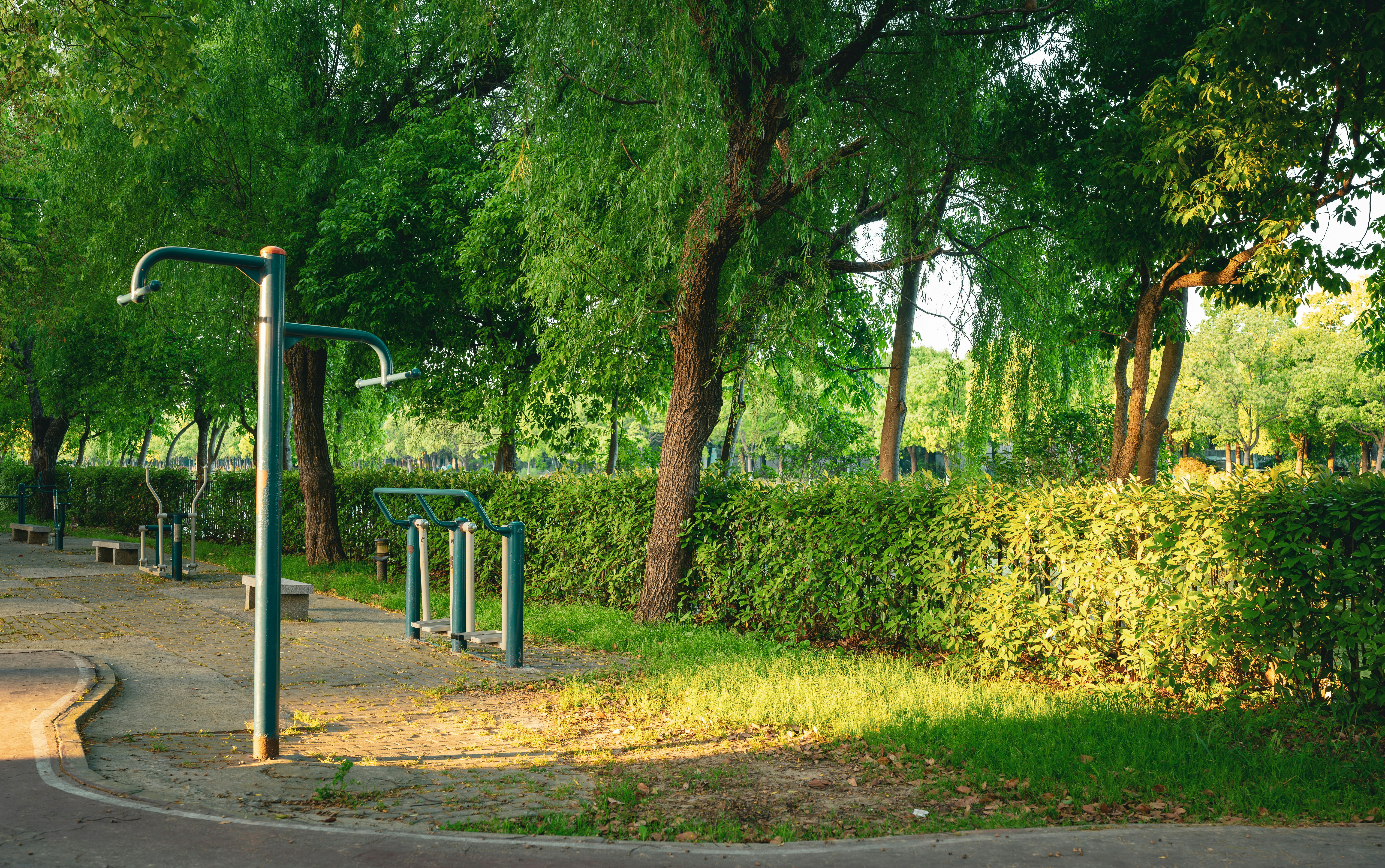 Sunlit Exercise Area among Quiet Greenery