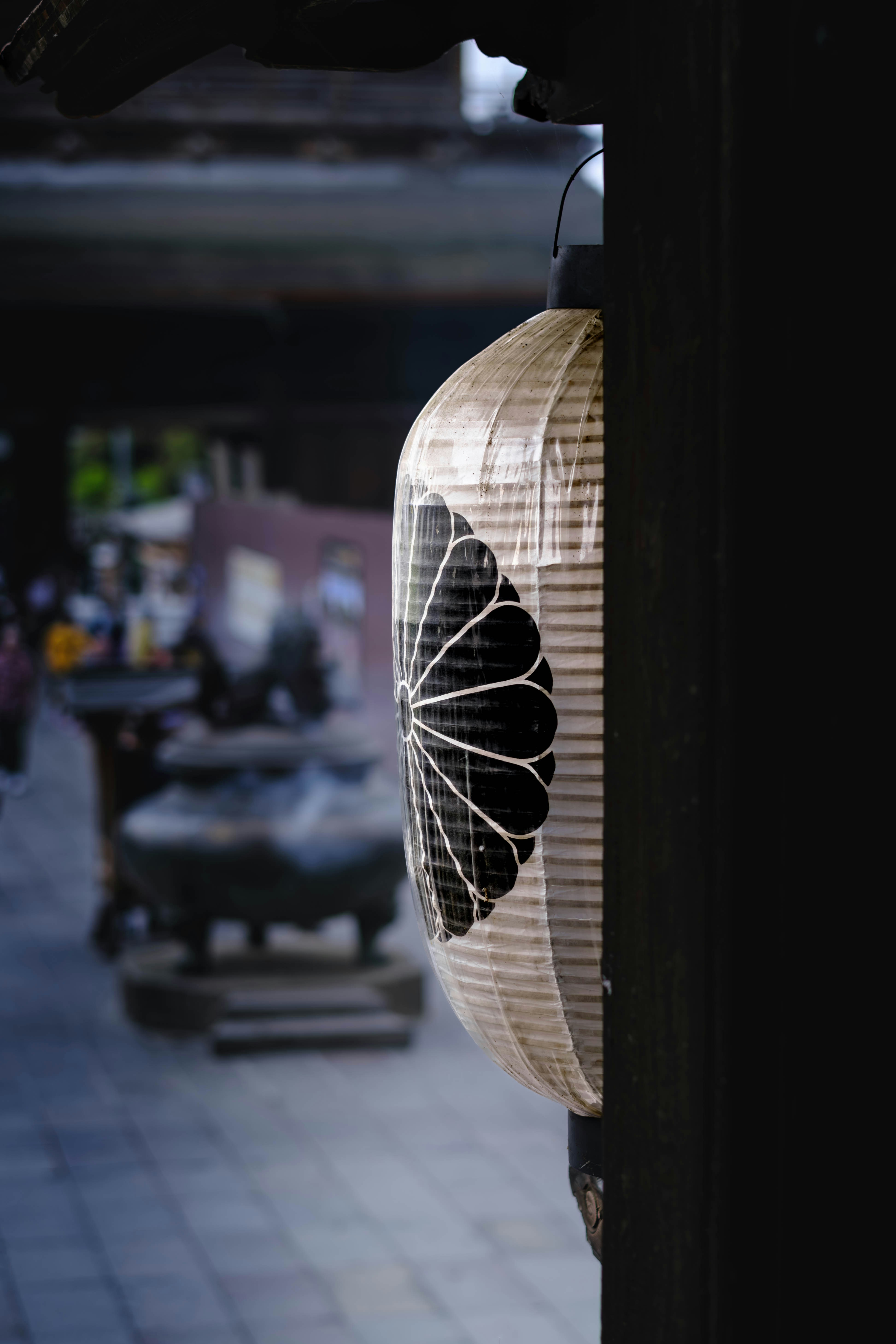 Lantern on the Wood Gate: Soft Light in a Quiet Street