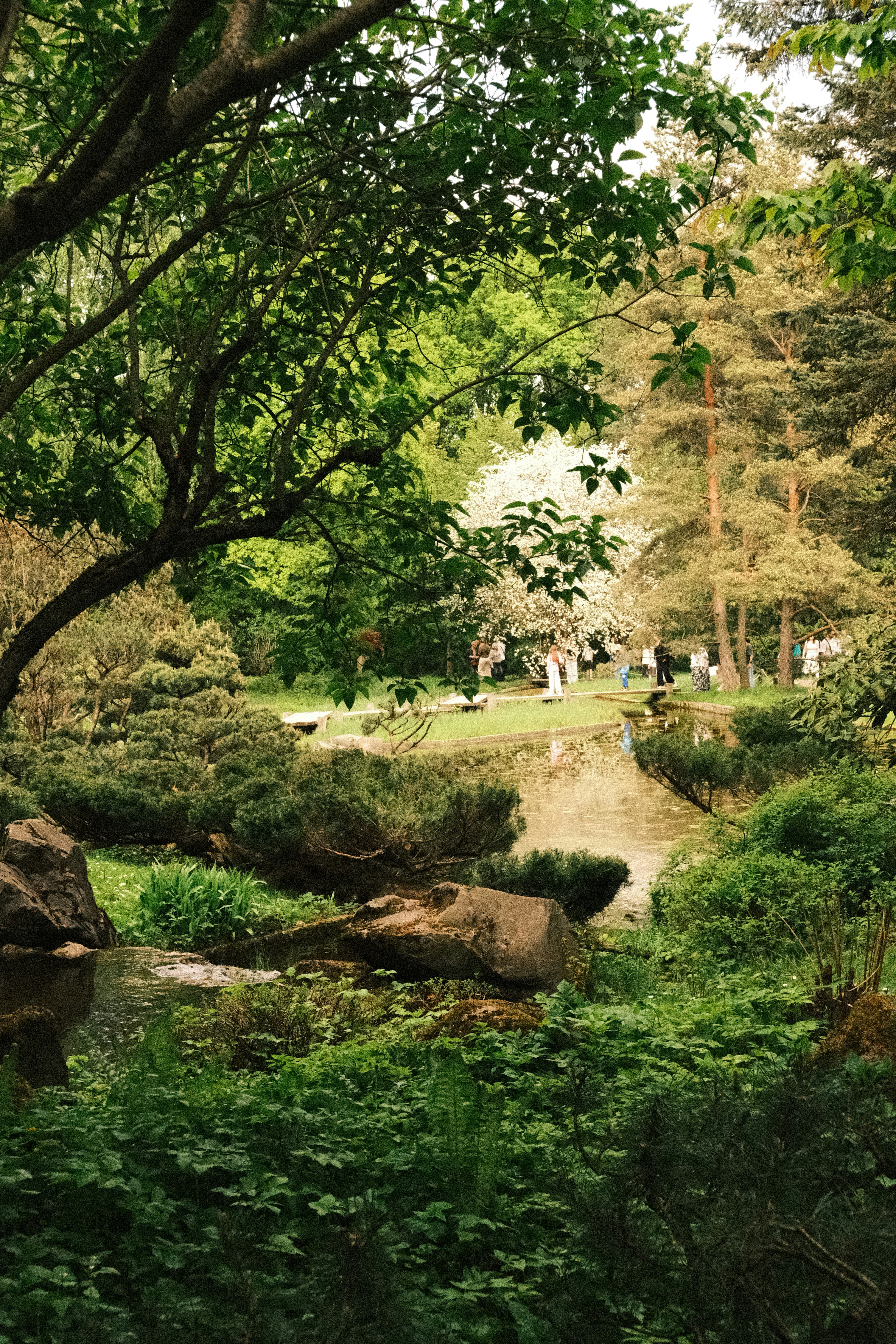 Quiet Arbor Walk by the Pond