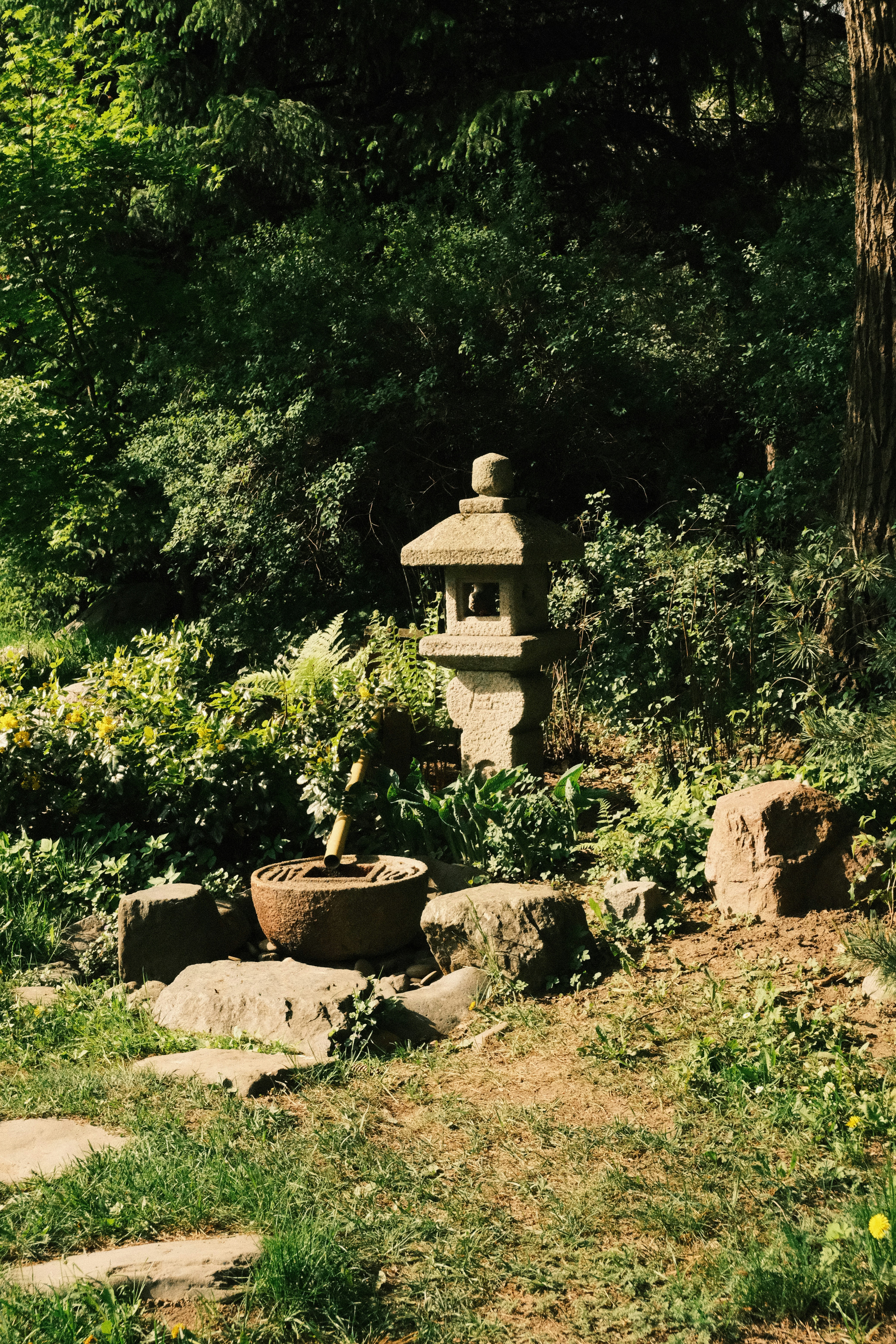 Stone lantern in a sunlit herb garden