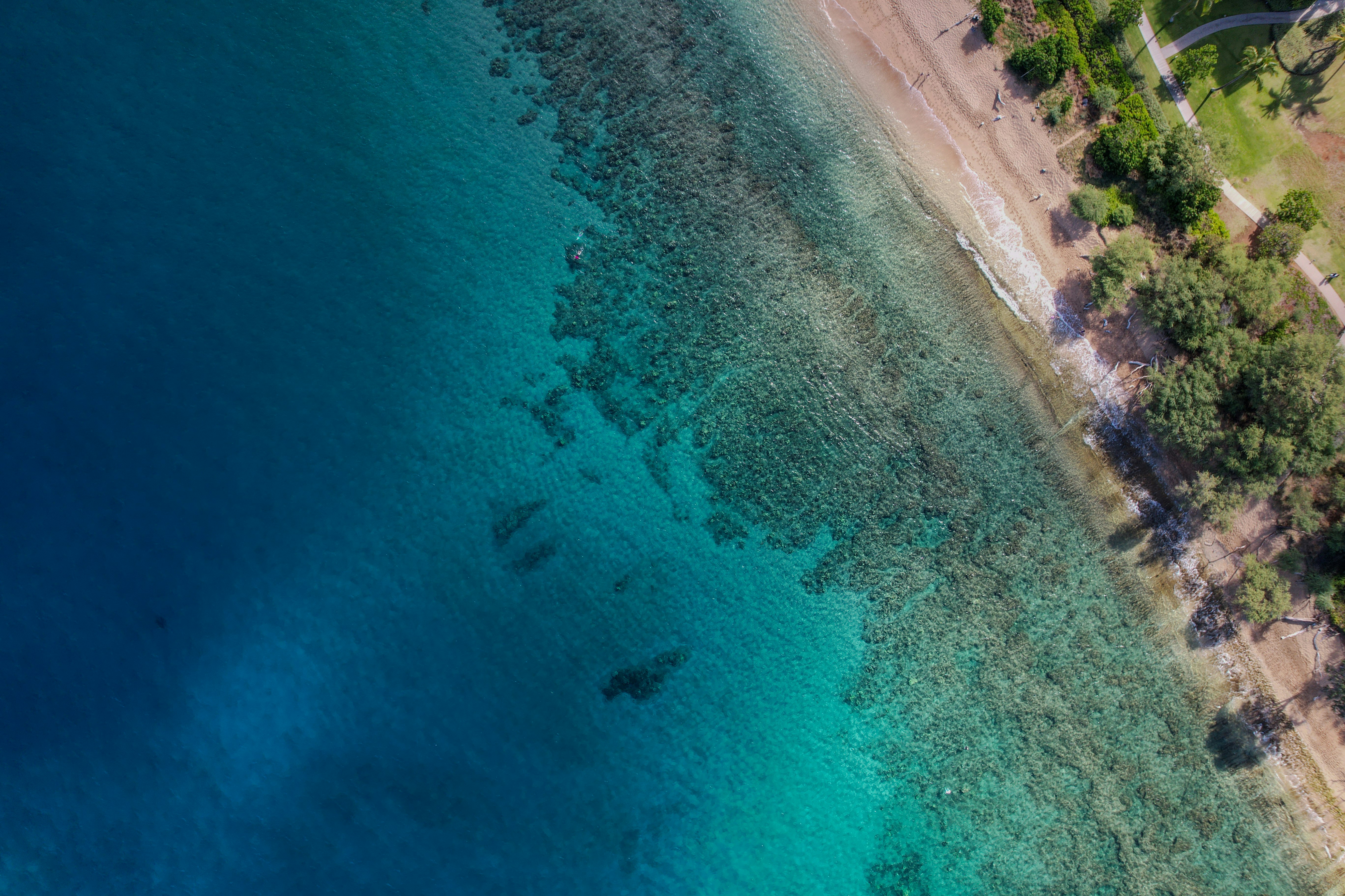 Azure shoreline: aerial contrast between reef, water, and dune edge