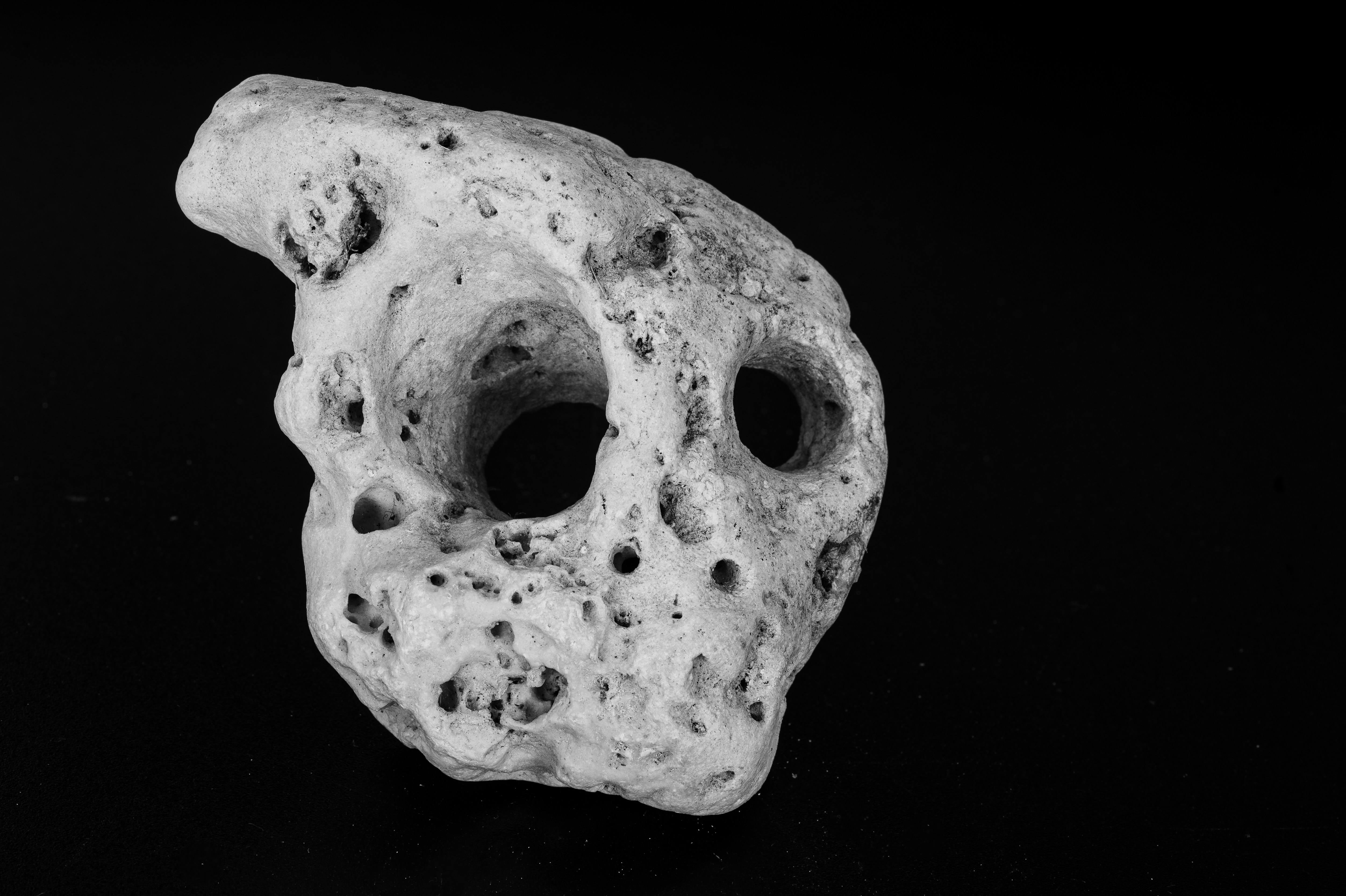 Lunar Carving: A Weathered Porous Rock with Pockmarked Facets