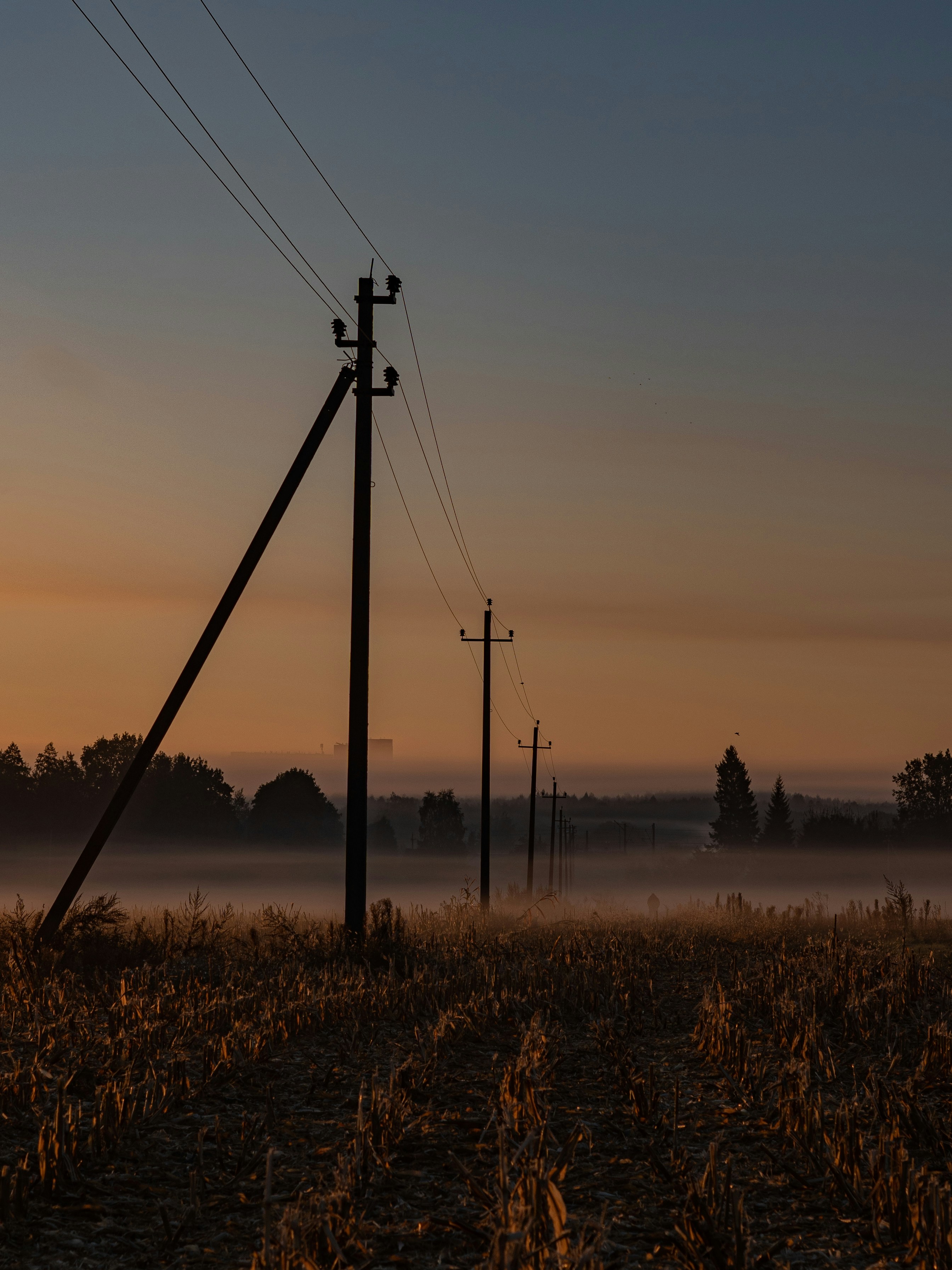 Titular Lines: Quiet Dawn Along Parallel Poles