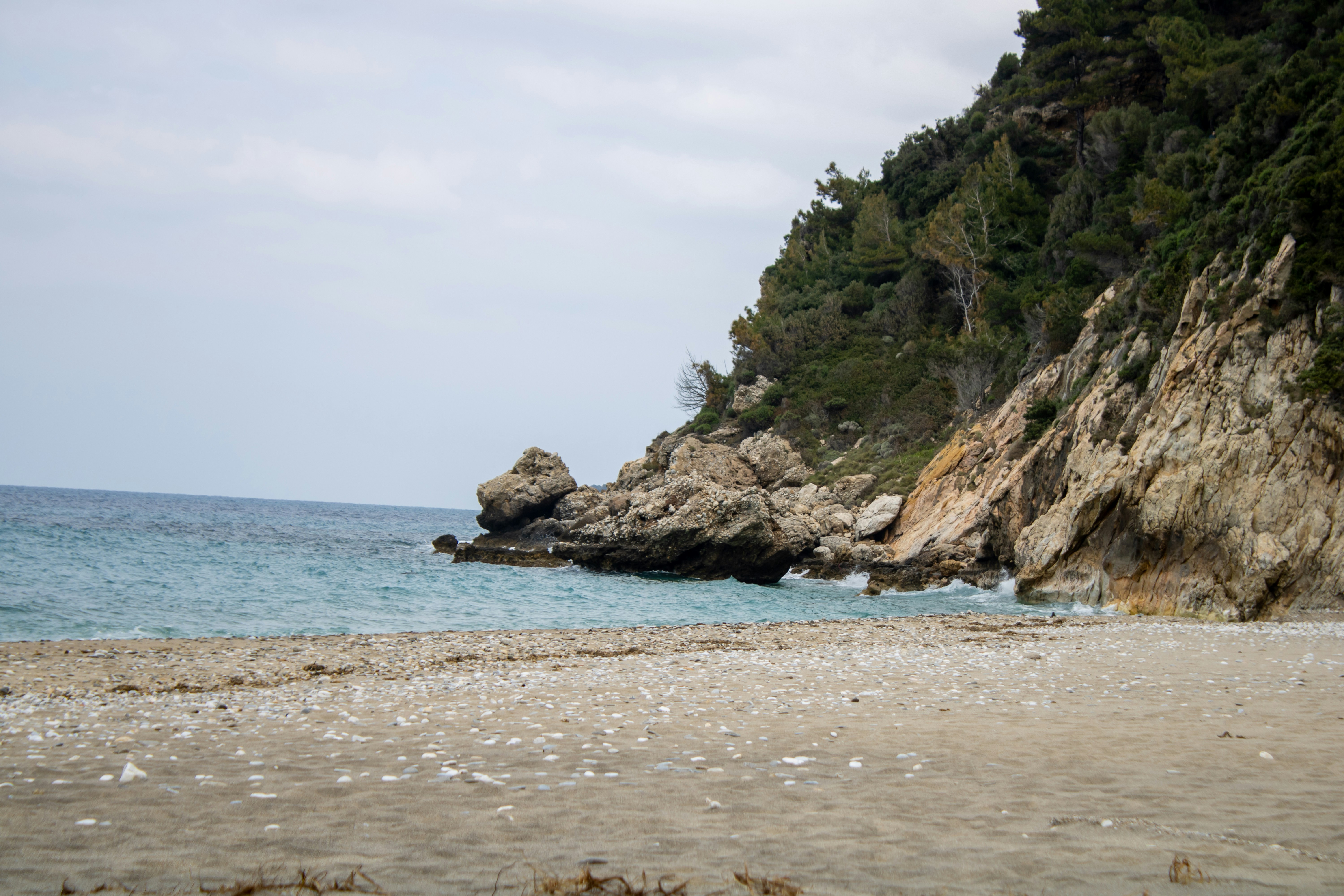 Coastal Cliffline Framing the Quiet Beach