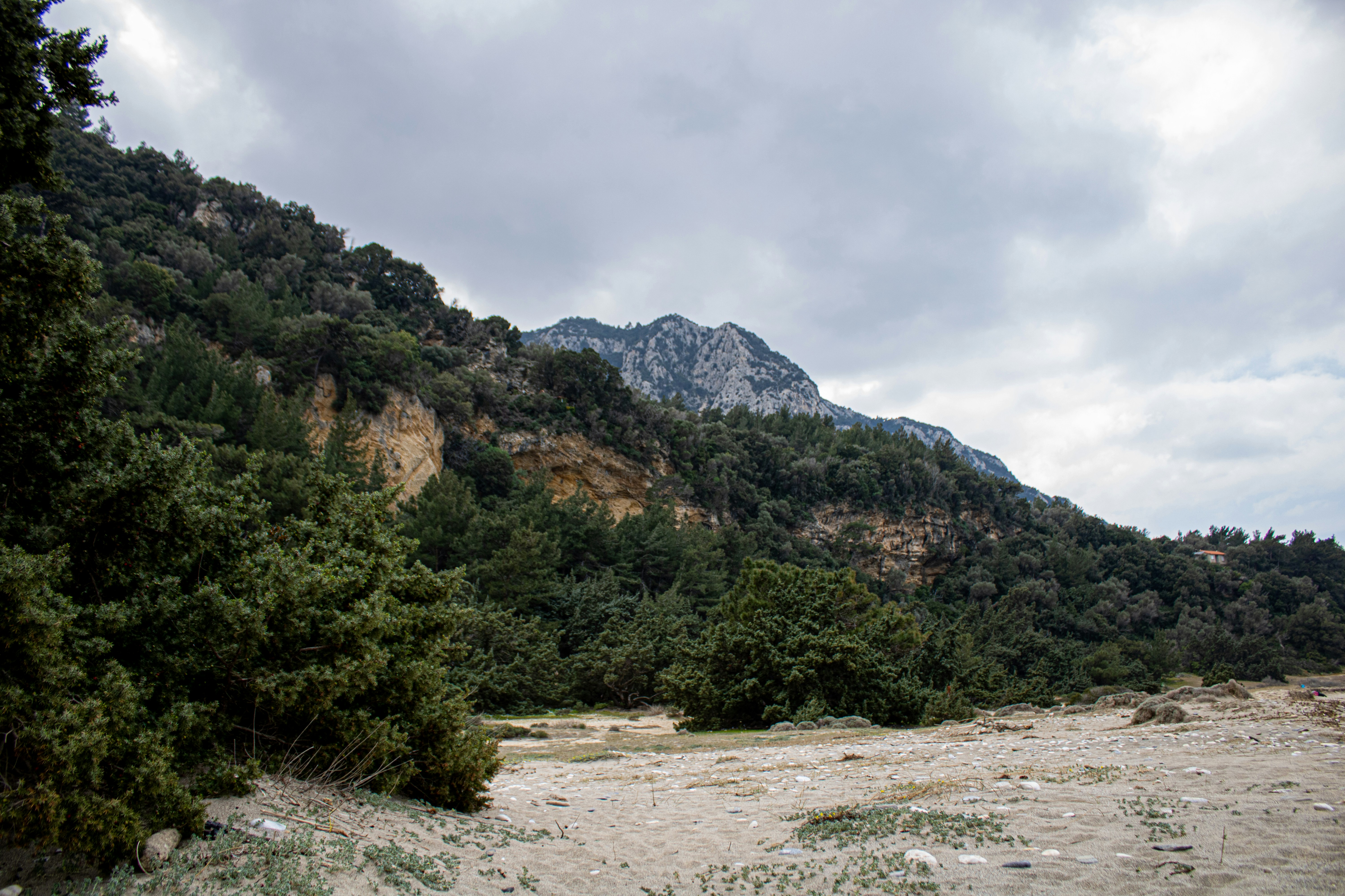 Rugged Limestone Ridge Framed by Pine-Cocked Hills