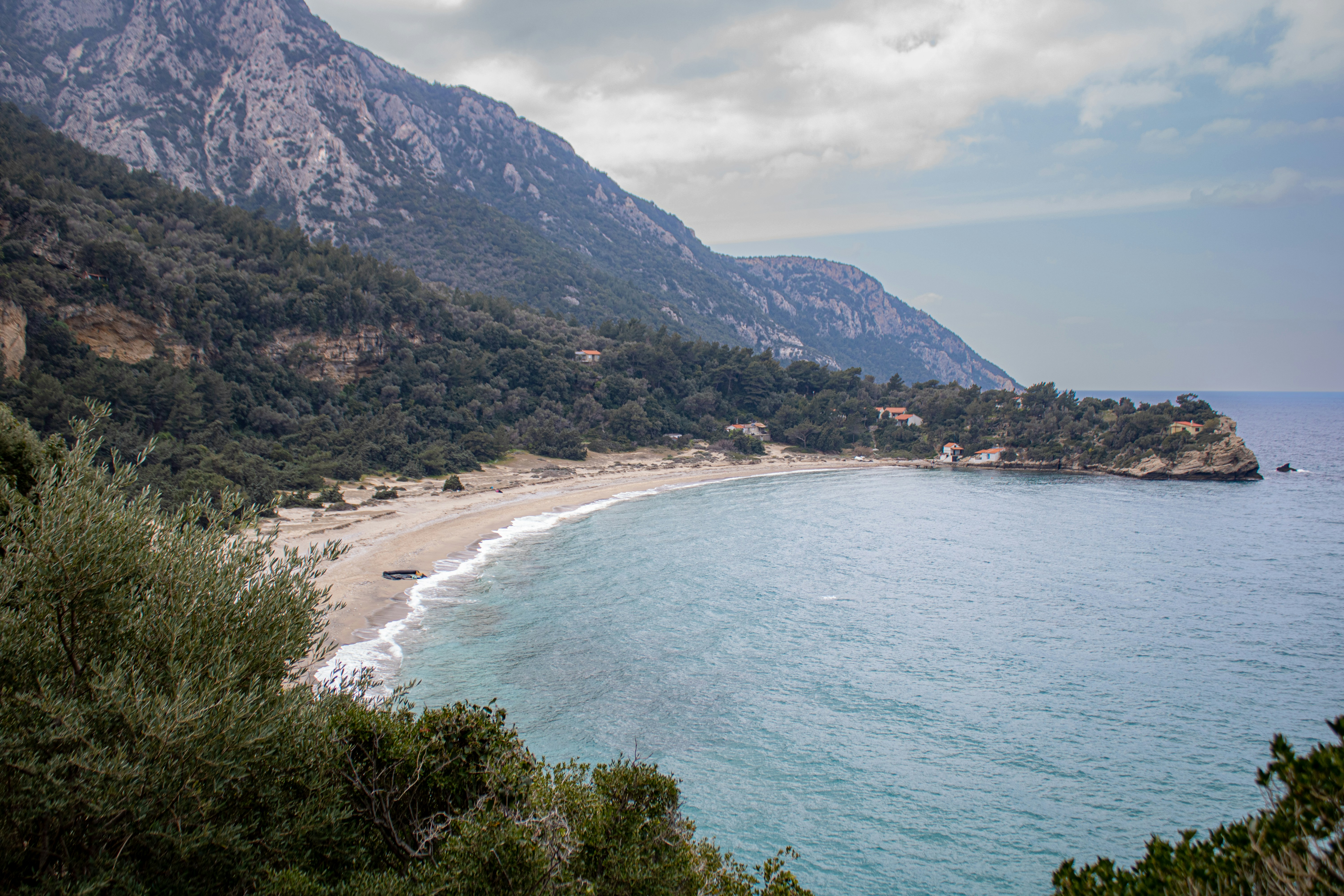 Coastal Cove framed by limestone cliffs and pine