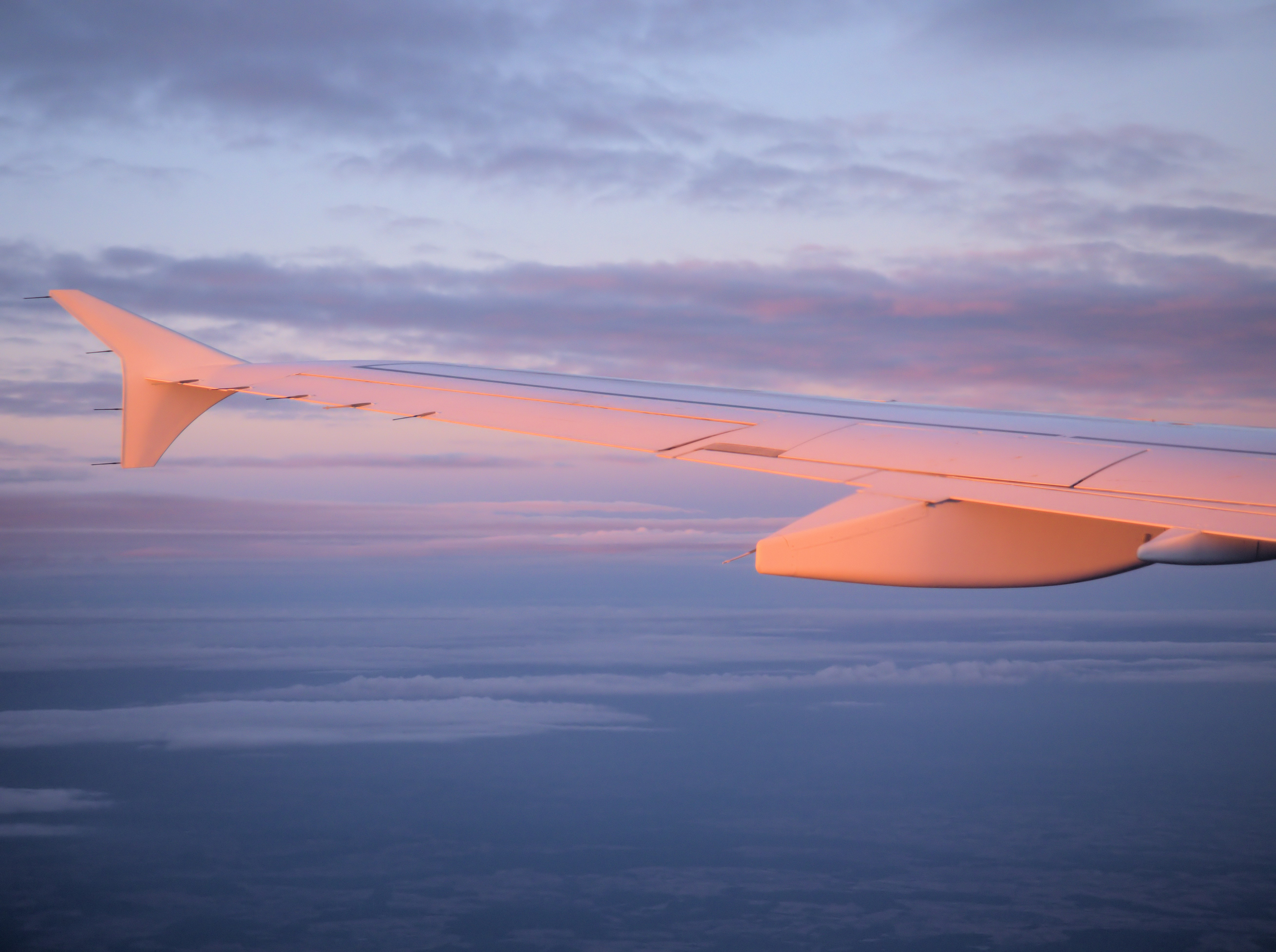 Wingspan at Dawn: Pink-tinged A320/jet翼 across a quiet horizon