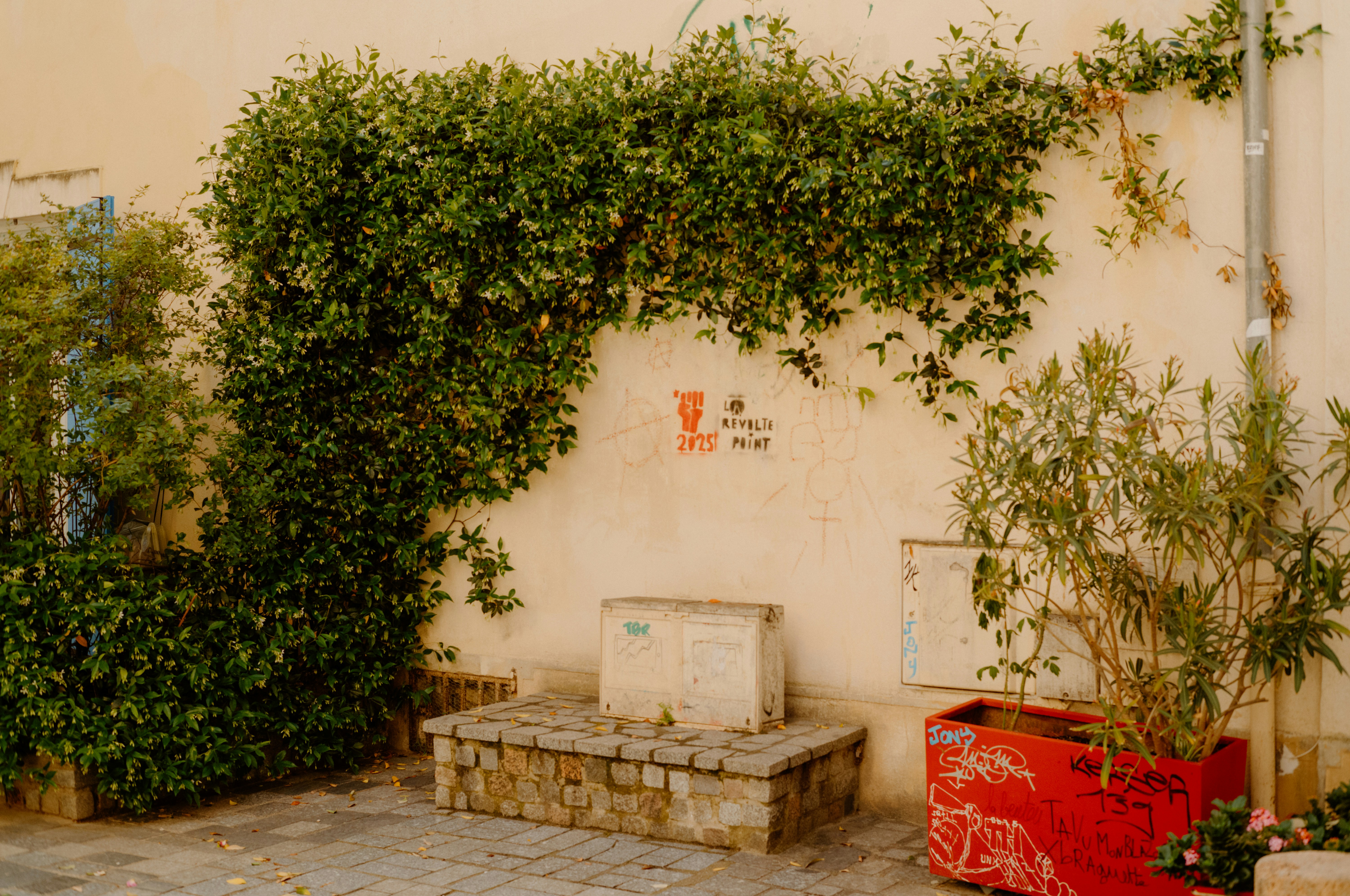 Verdant Corner: A Quiet Façade with Potted Life