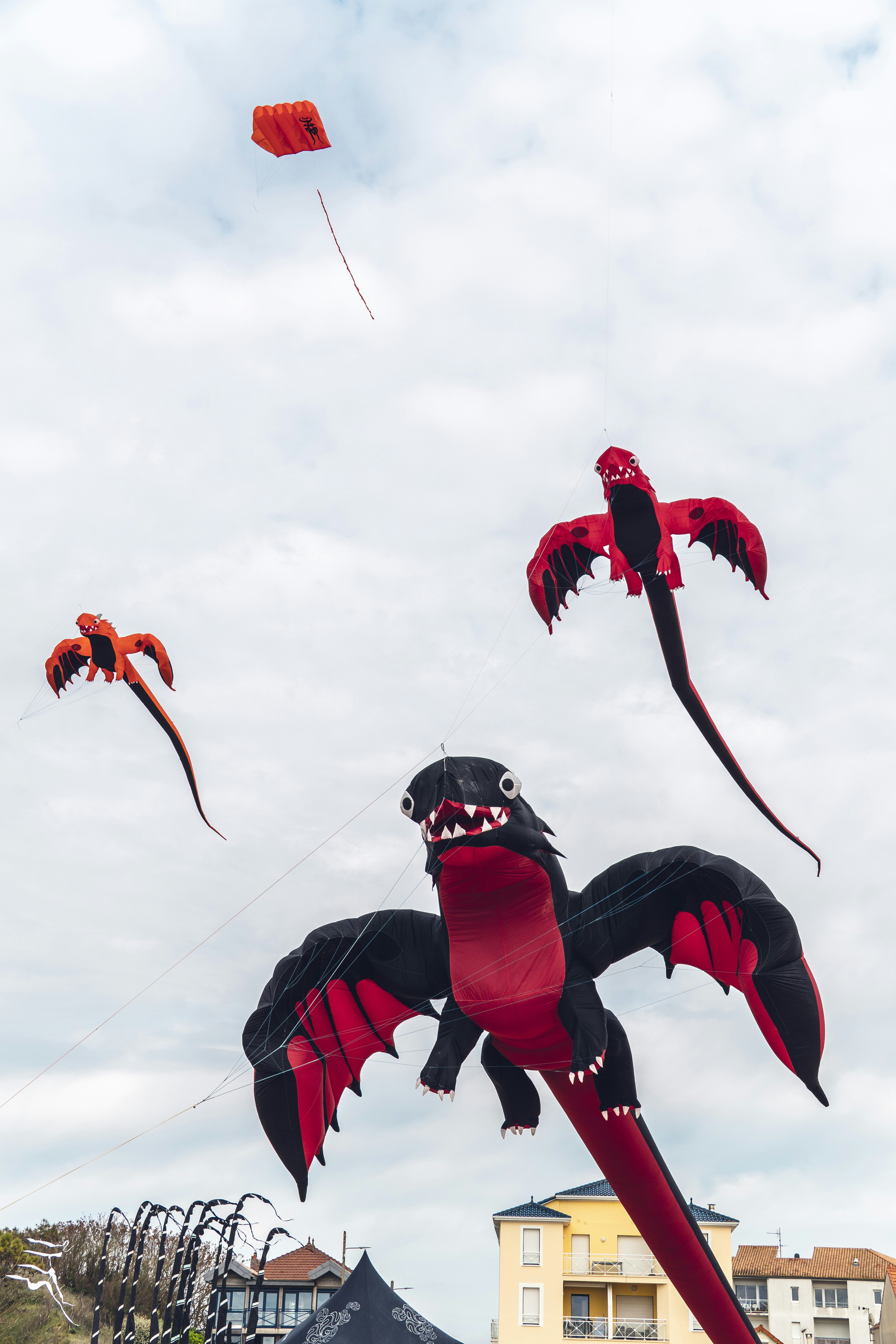 Dragon Parade Over the Suburban Skyline