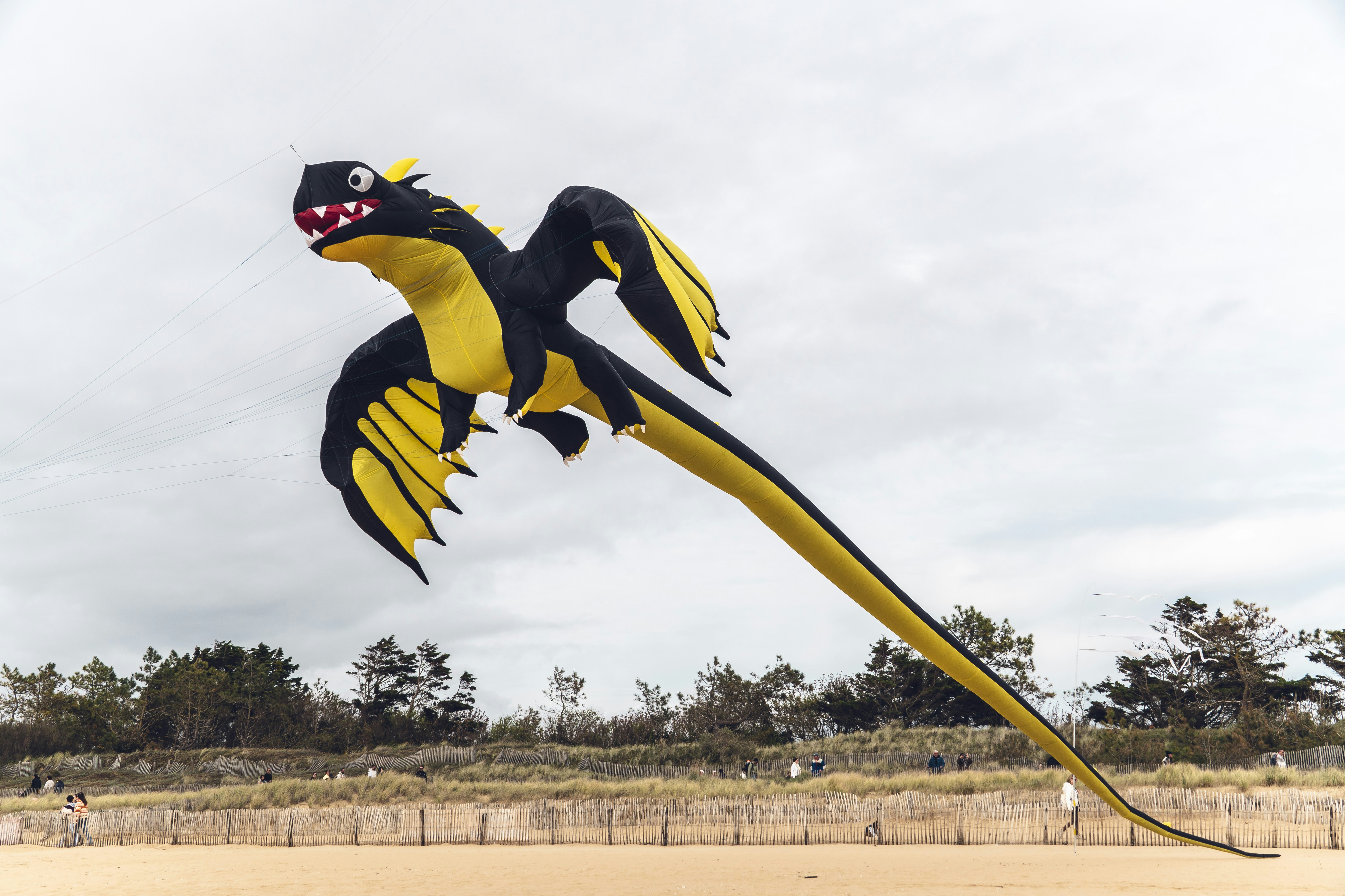Dragon Kite Soaring Over an Open Field