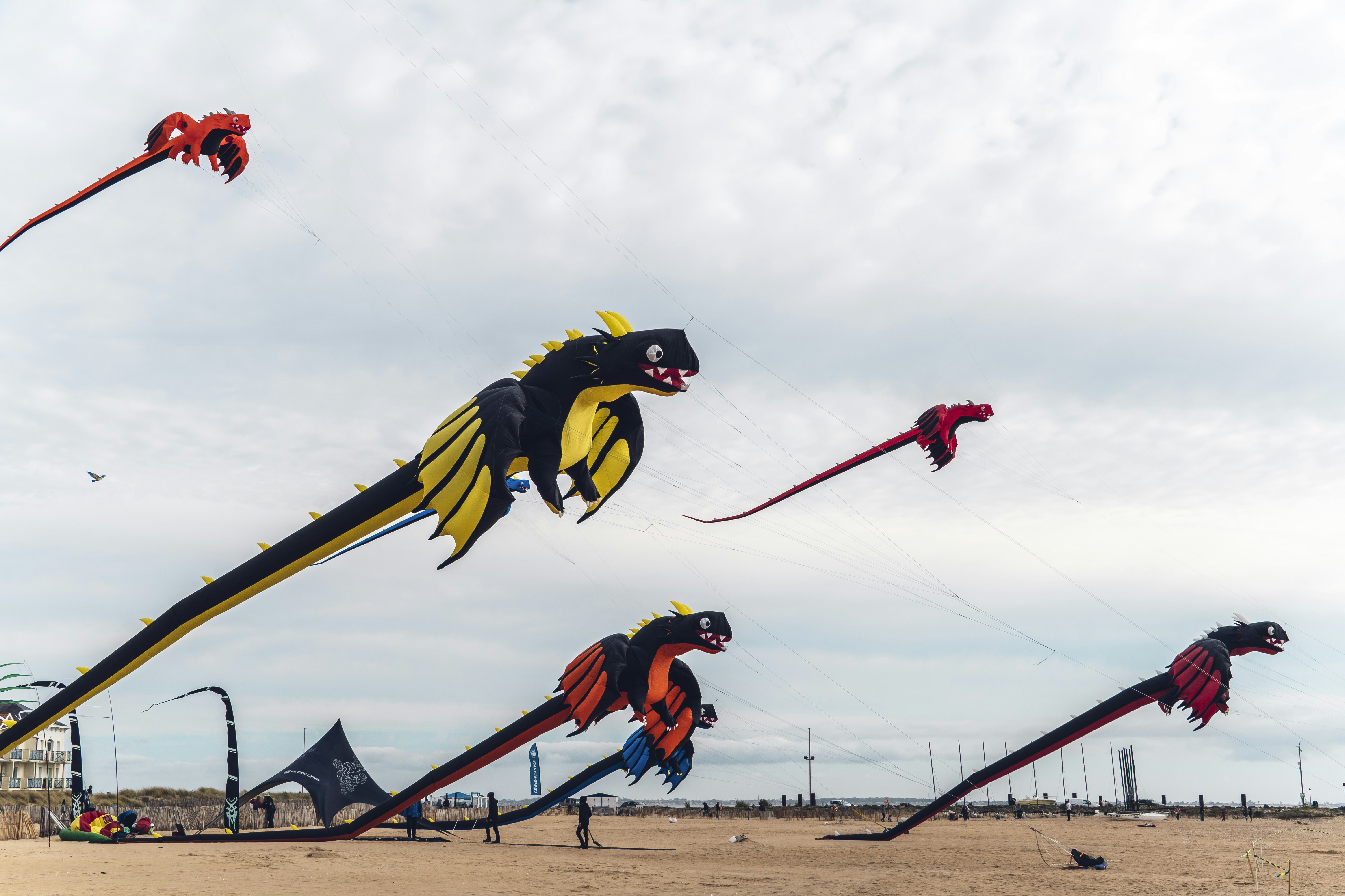 Dragons on the Sand: Giant Kites Sail Over a Quiet Shoreline