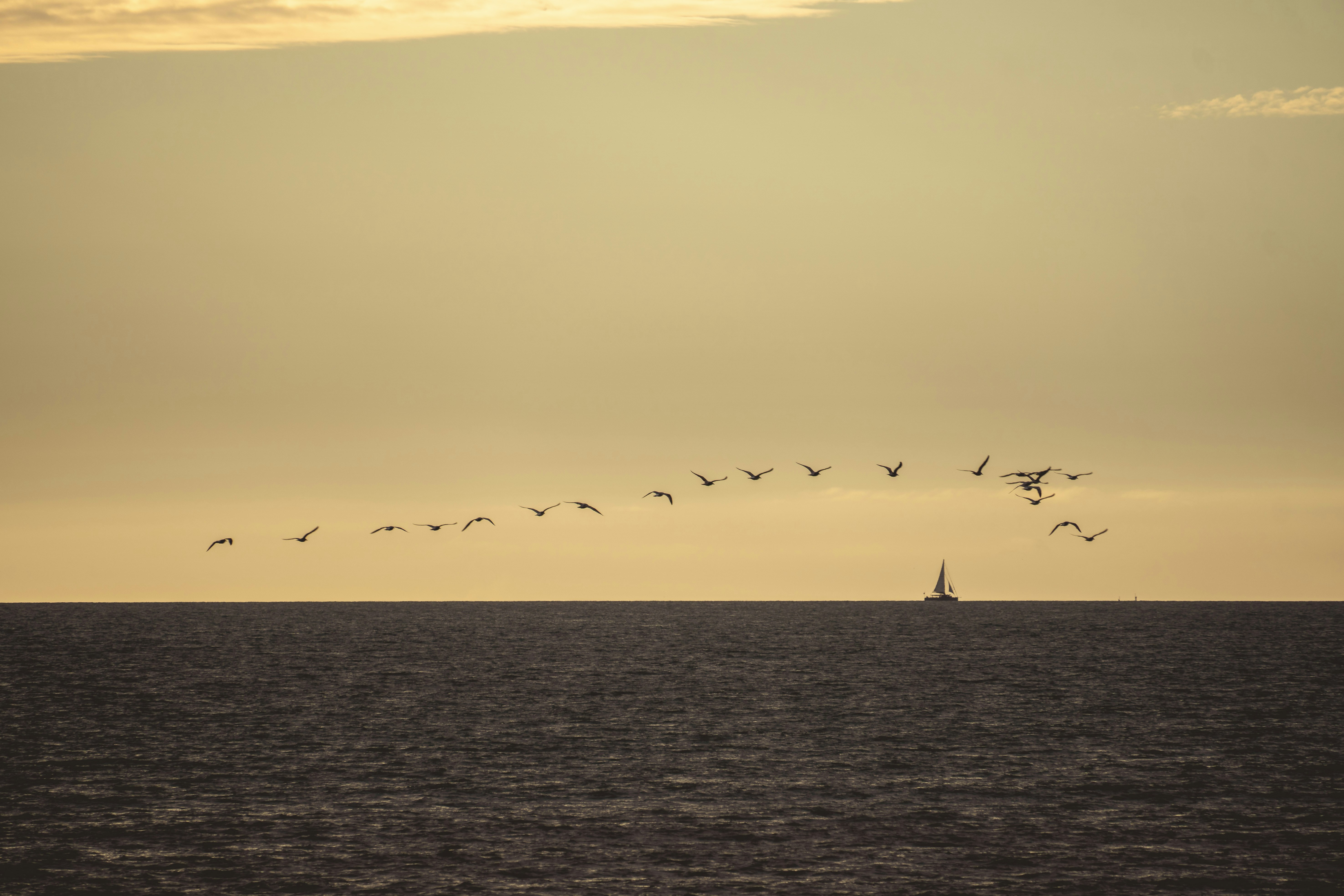 Horizon Flight: A Distant Sail Under Sunset
