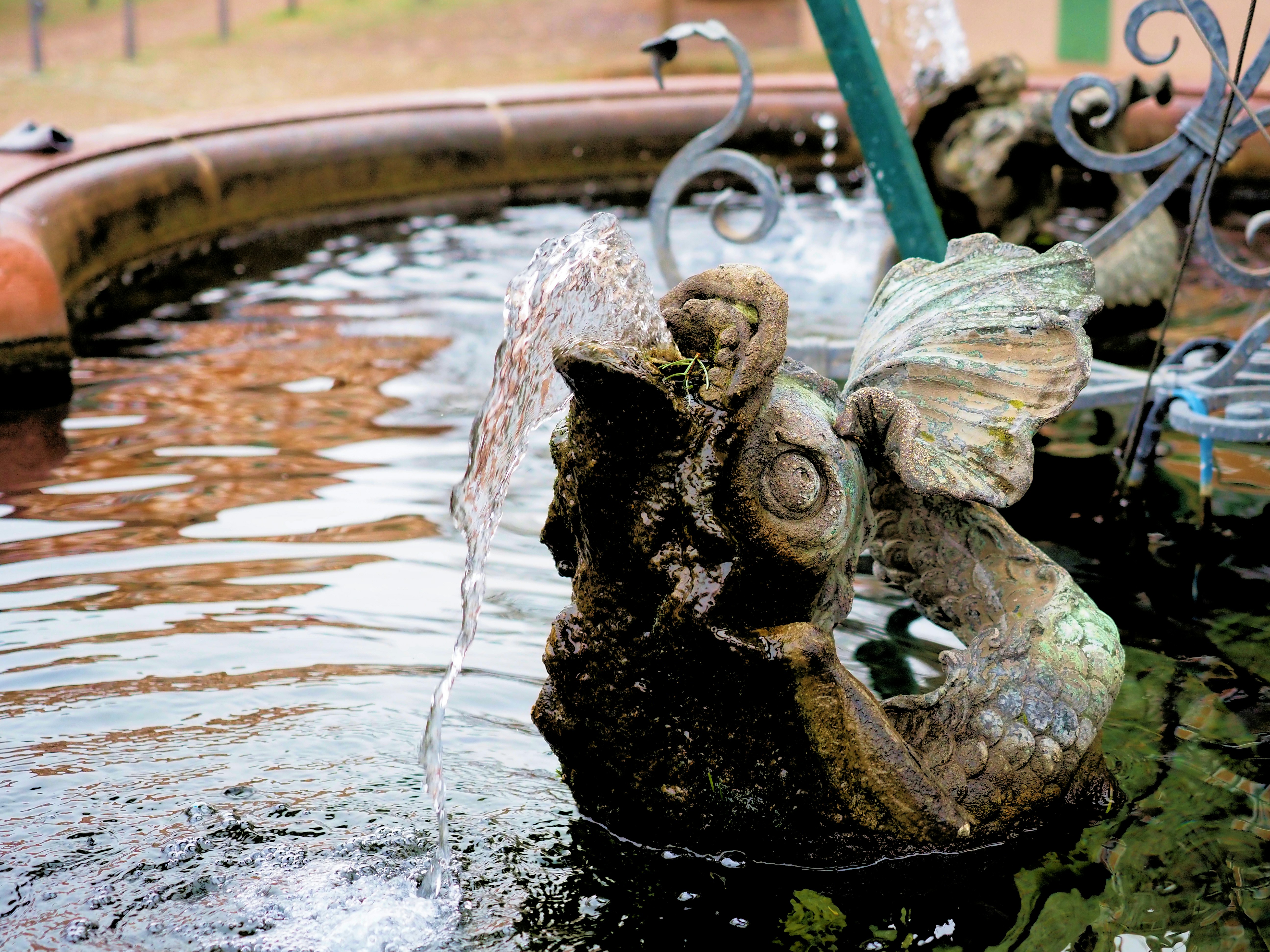 Weathered Dragon Fountain: Mossy Sculpture Spews a Quiet Spray