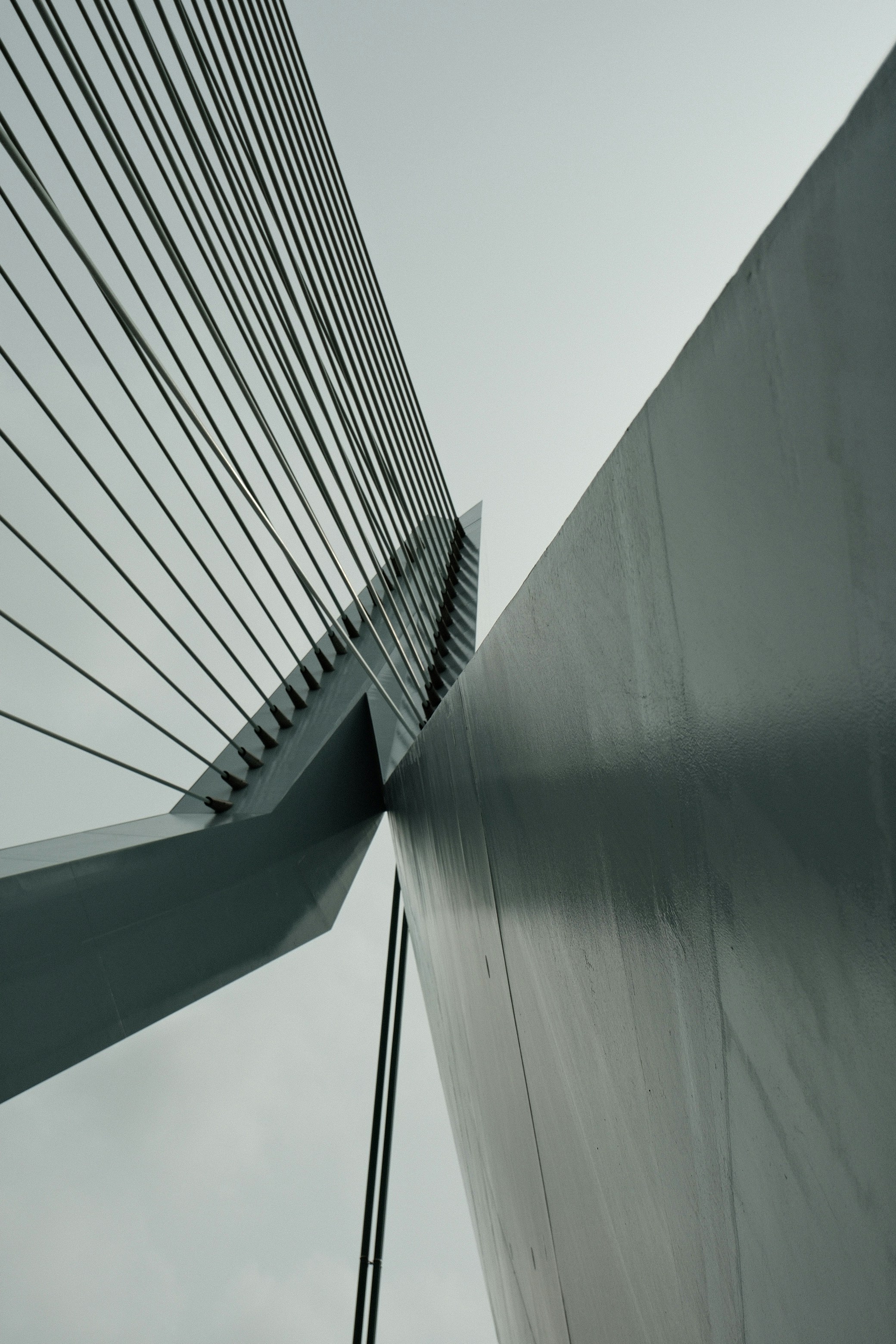 Vertical Tension: A Steel Vector Reaches for the Sky