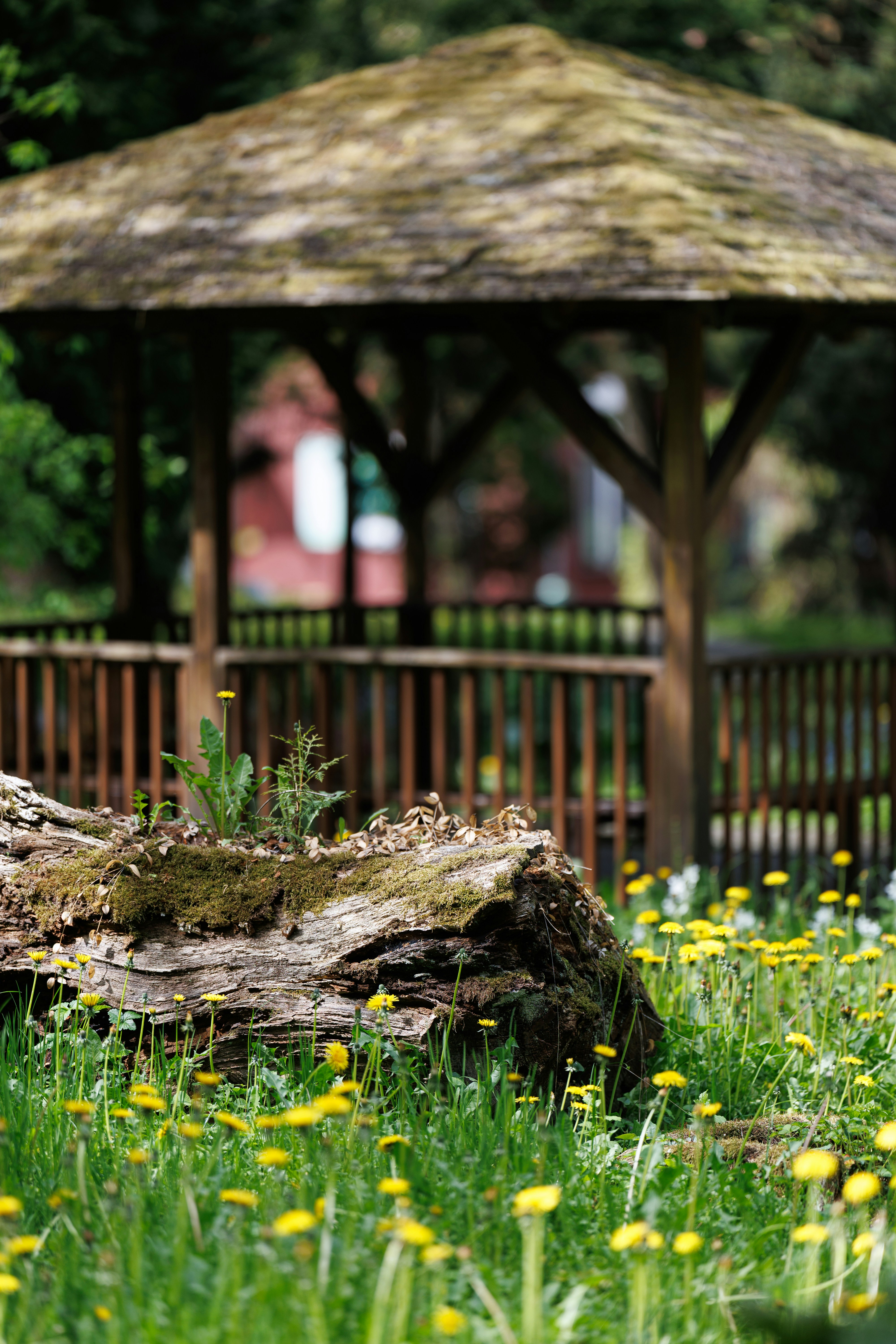 Moonlit Garden in Soft Blur: A Quiet Shelter Surrounded by Dandelions