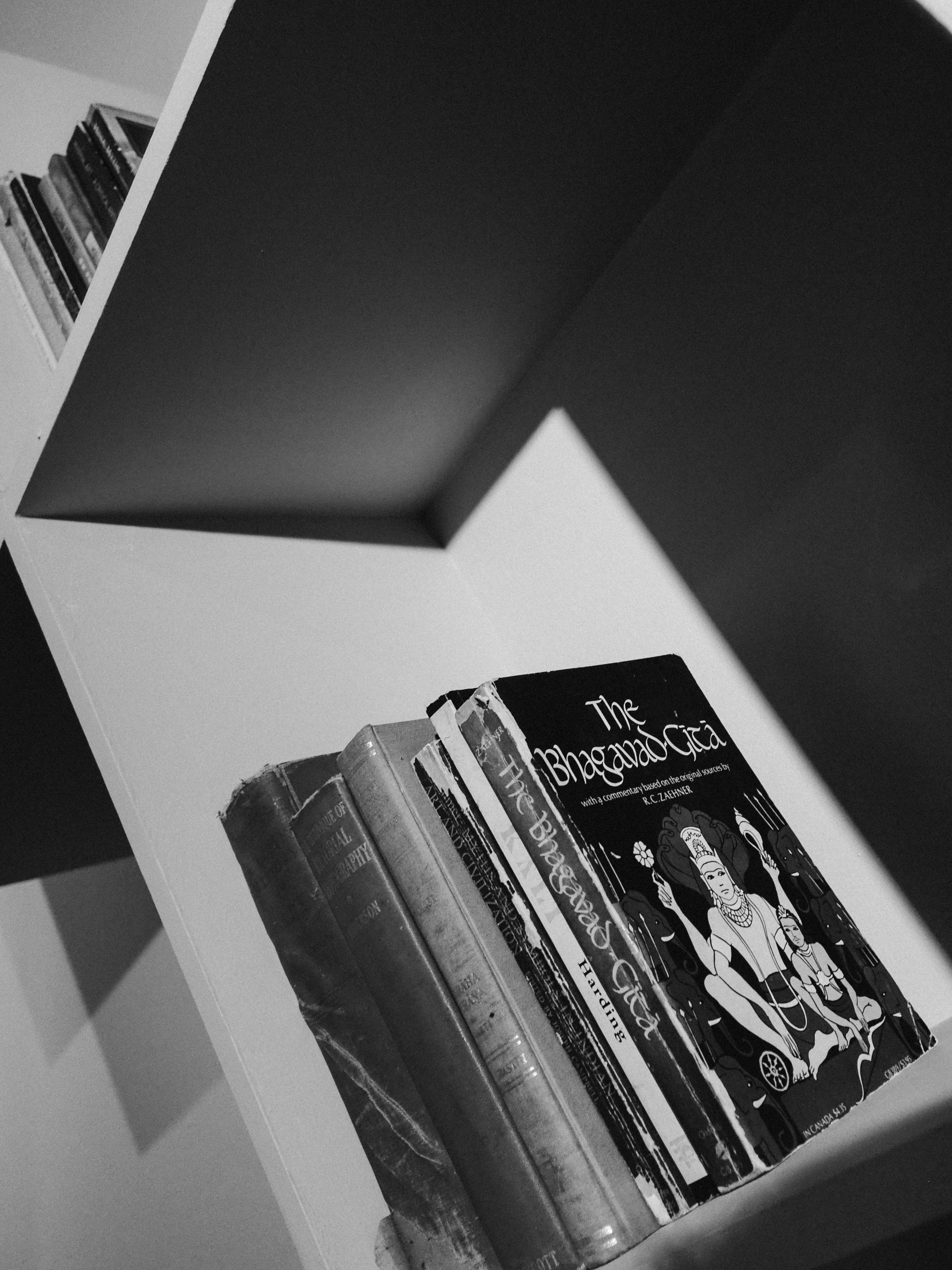 Shelf of Tales: A Quiet Corner of Vintage Pages