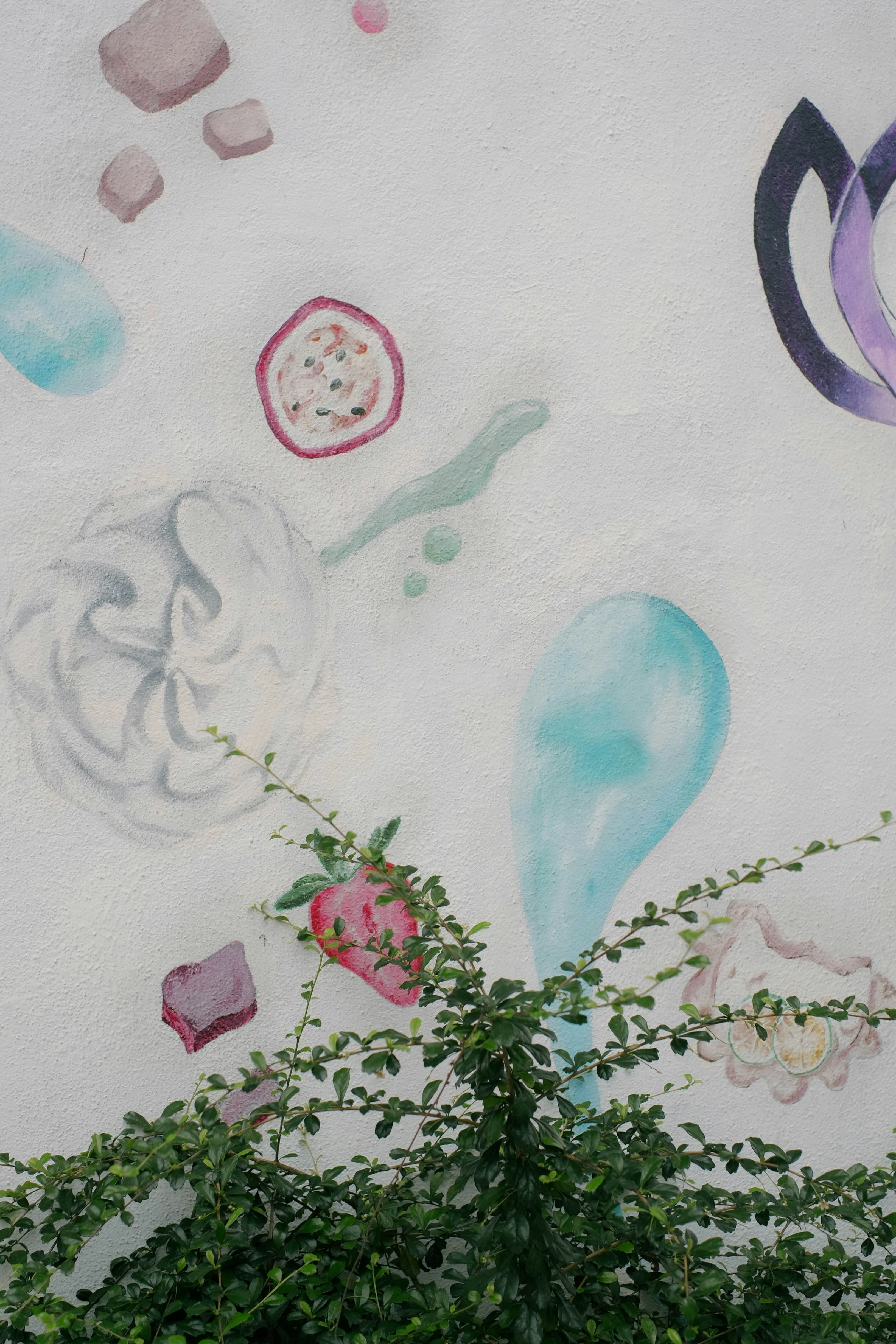 Urban mural meets green tendrils: a painted backdrop shadowed by climbing leaves
