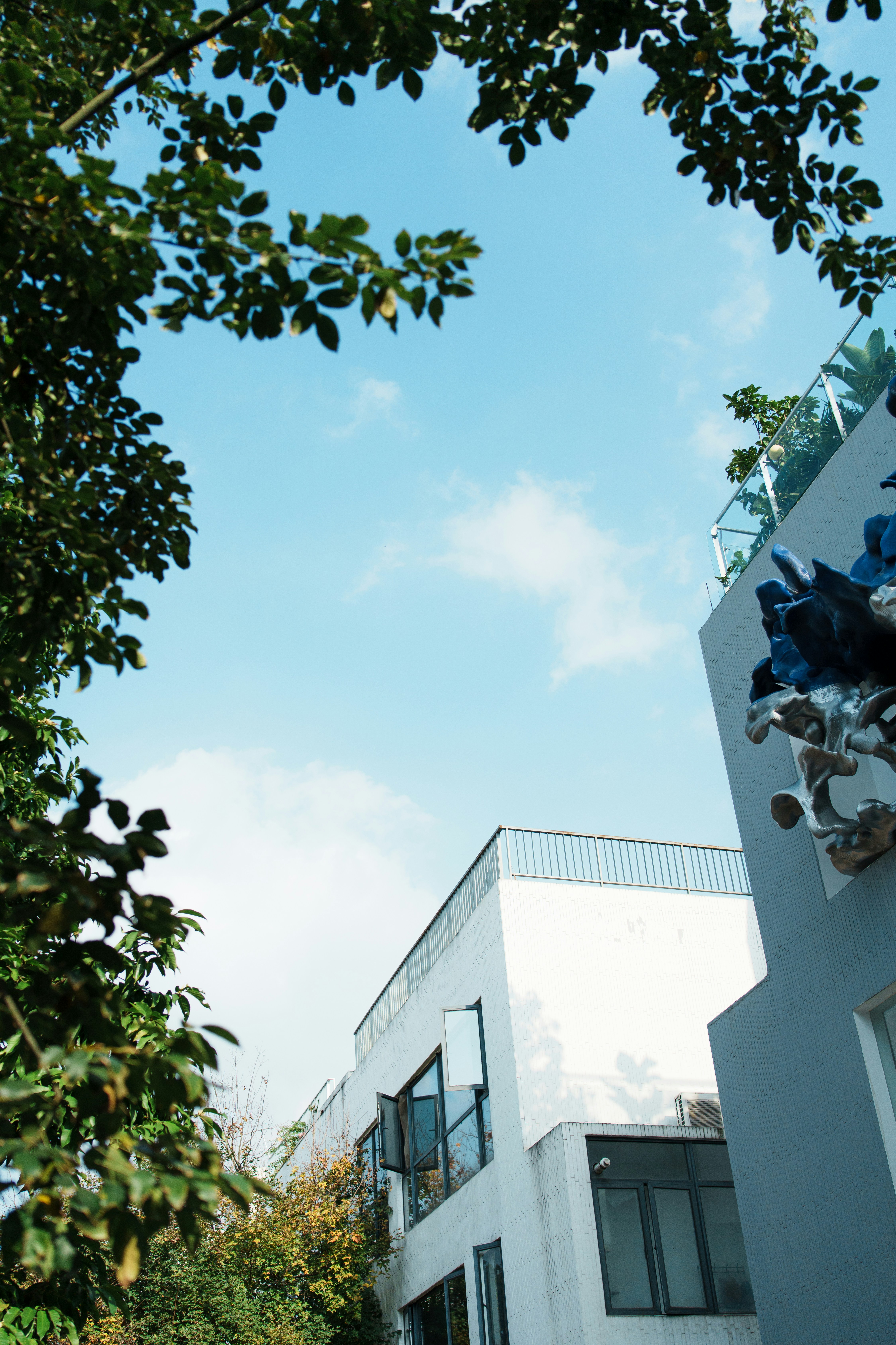 Skyward Facade: A Modern Gallery Under Open Blue