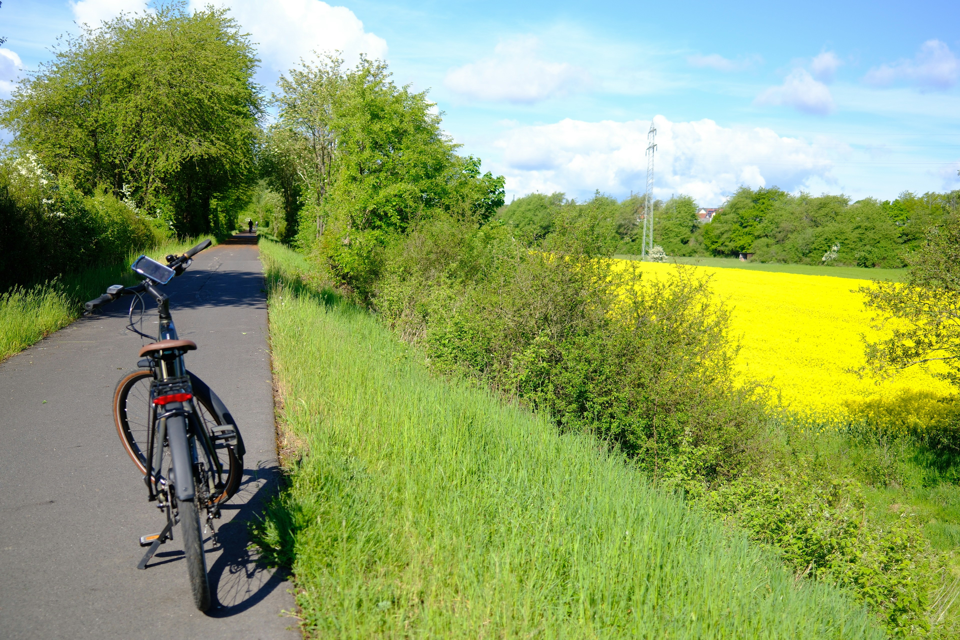 Ridge Pathway: A Bicycle Rest on a Sunlit Country Lane