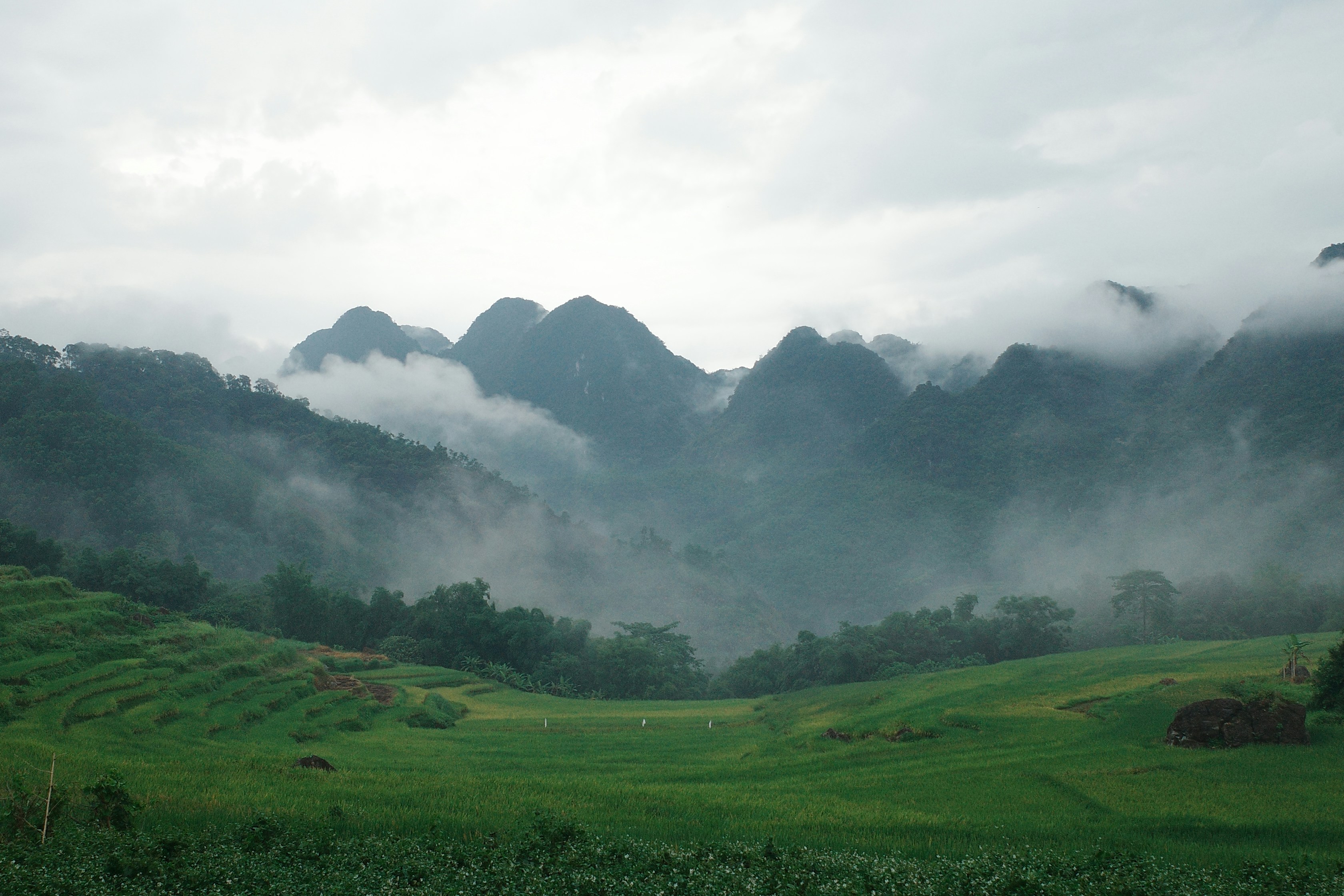 Misty mountains rise above green rolling hills